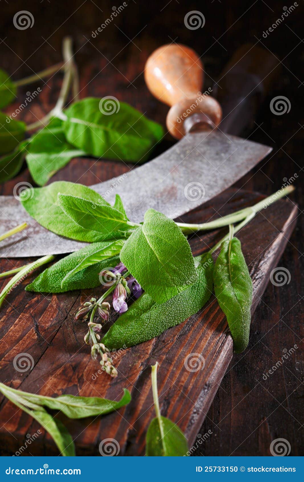 12,142 Sage Table Stock Photos - Free & Royalty-Free Stock Photos from ...