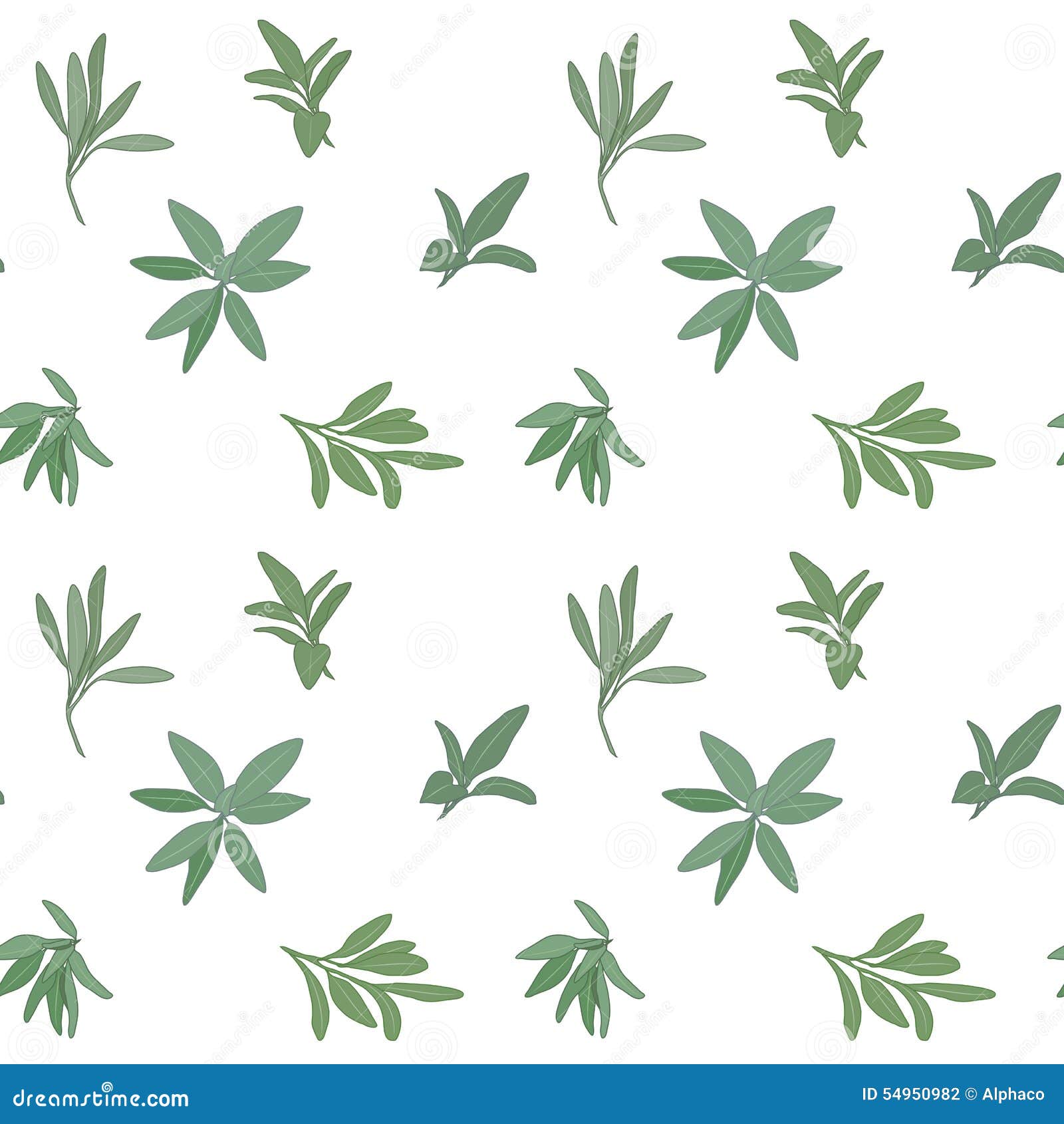 Sage Pattern Background Fabric, Attire Texture Seamless Check. Costume ...