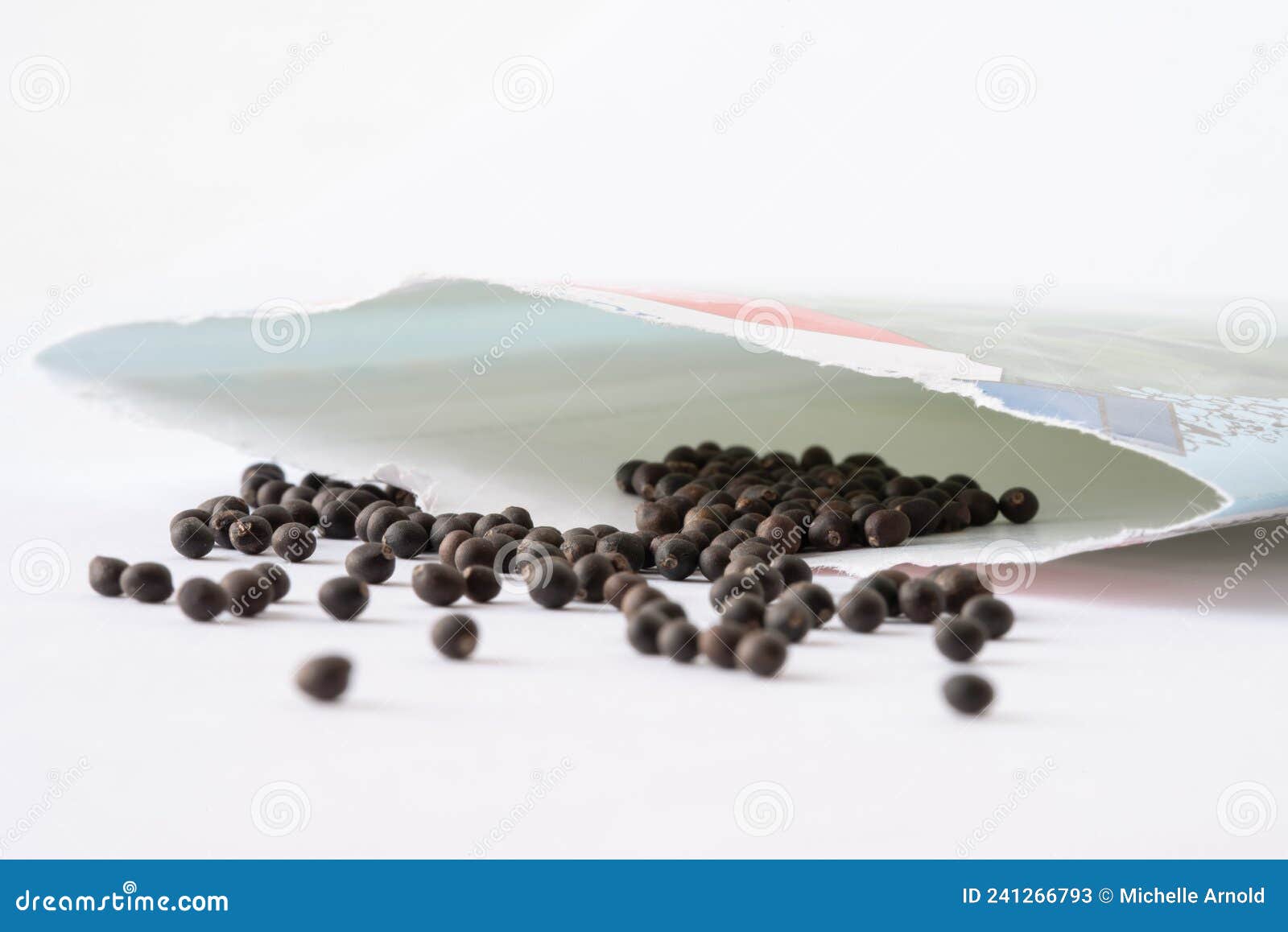 Sage Seeds Spilled from a Seed Packet Stock Image - Image of nature ...