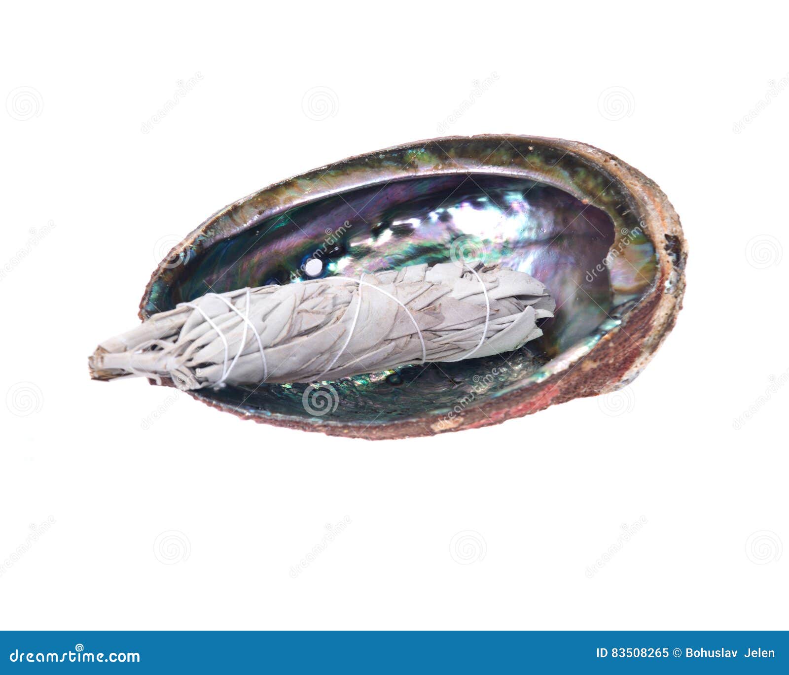 Sage Smudge Stick in Bright Polished Rainbow Abalone Shell Stock Image ...