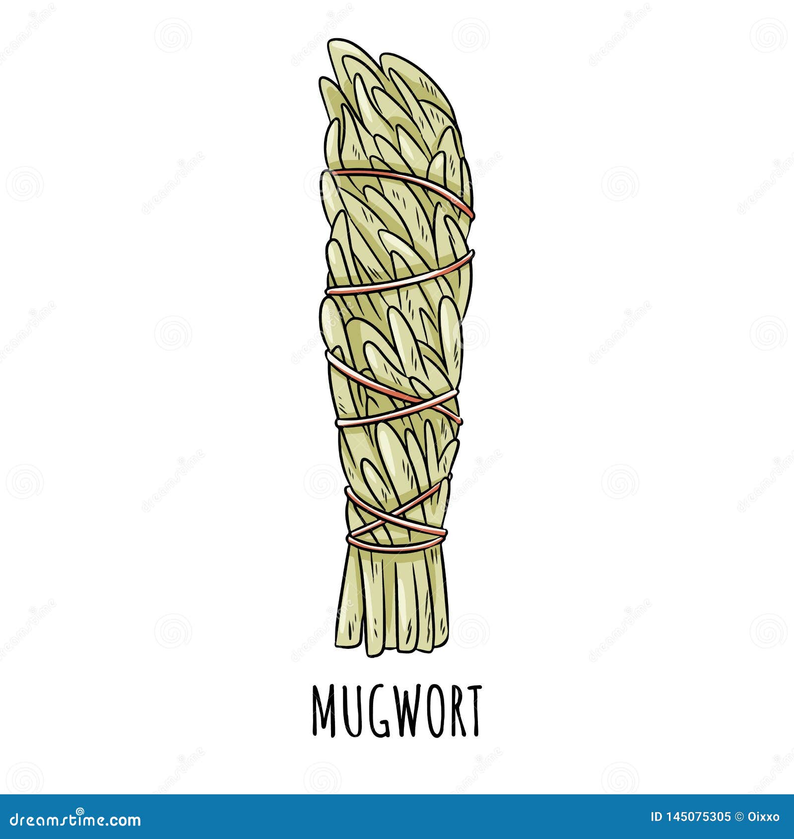 Sage Smudge Sticks Hand-drawn Boho Seamless Pattern. Mugwort Herb ...