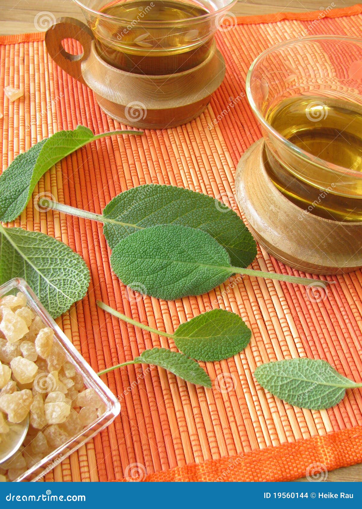 Sage tea stock photo. Image of healing, mediterranian - 19560144