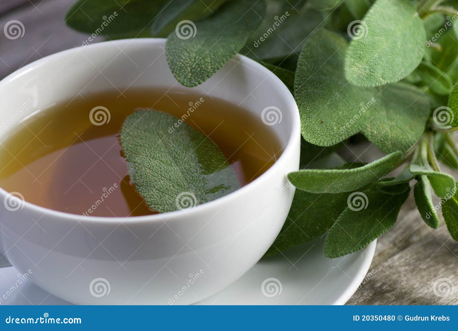 Sage tea stock photo. Image of homeopathy, terrace, condiments - 20350480