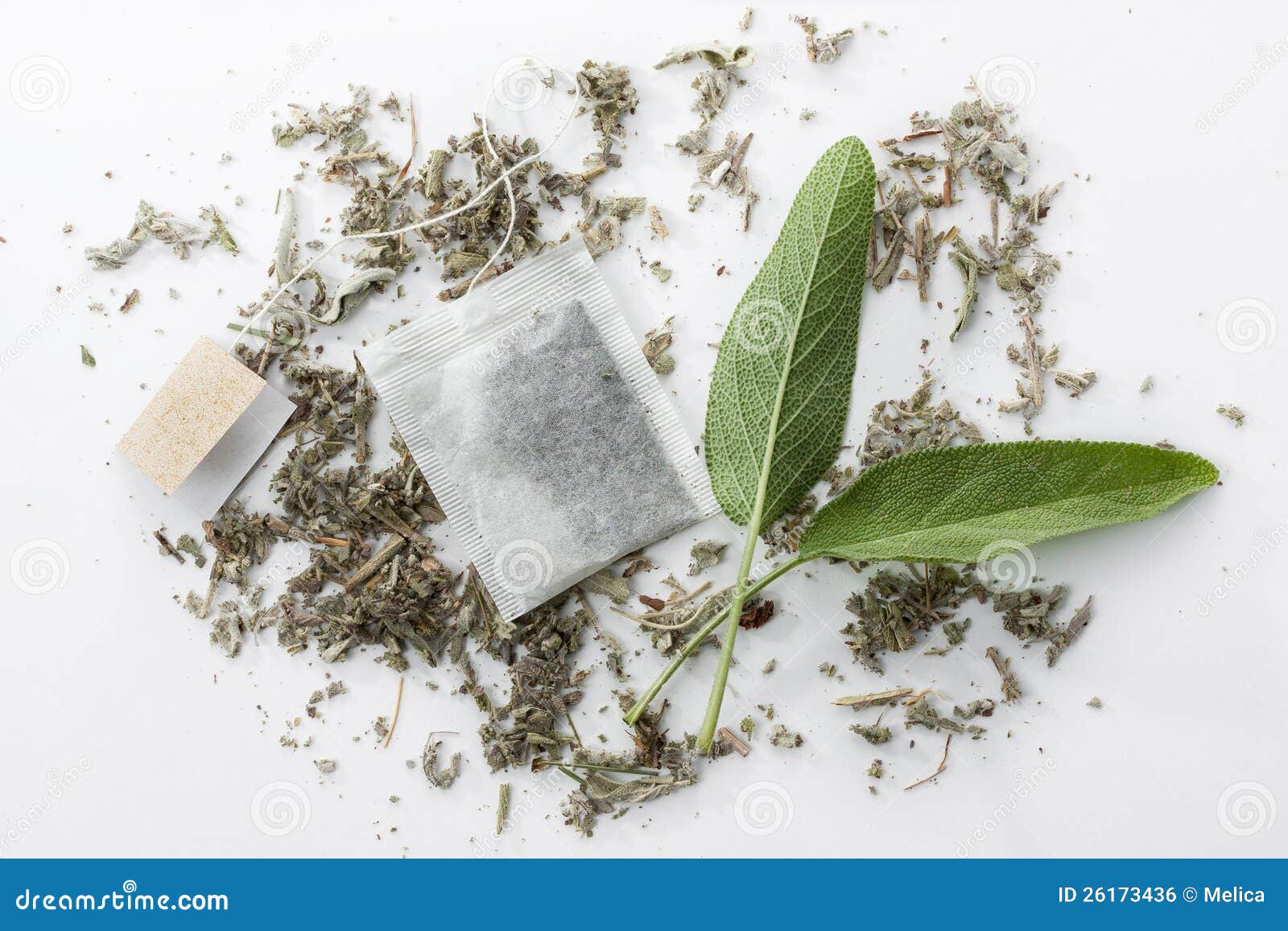 Sage tea stock photo. Image of herbal, culinary, cuisine - 26173436
