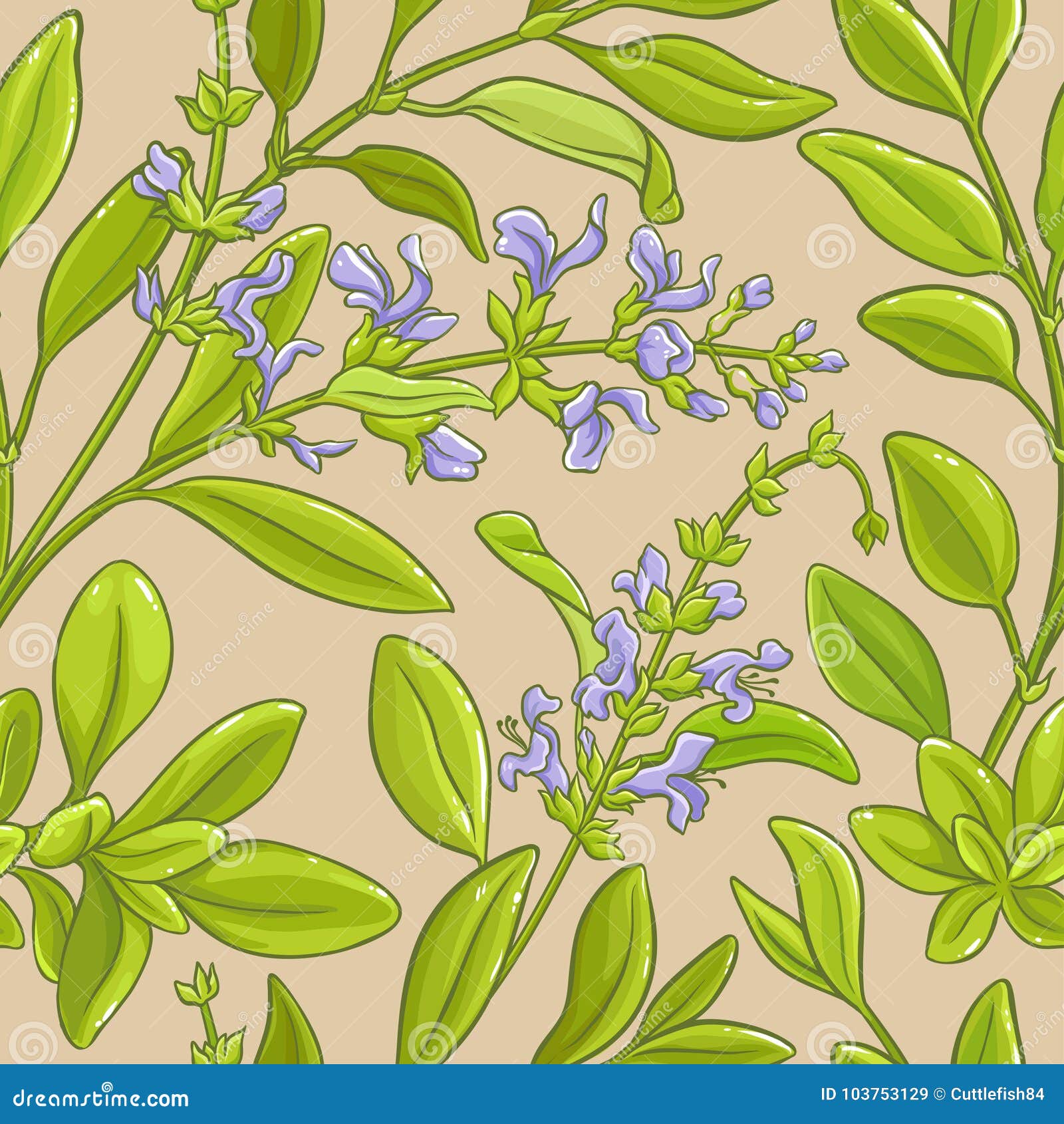 Sage vector pattern stock vector. Illustration of houseplant - 103753129