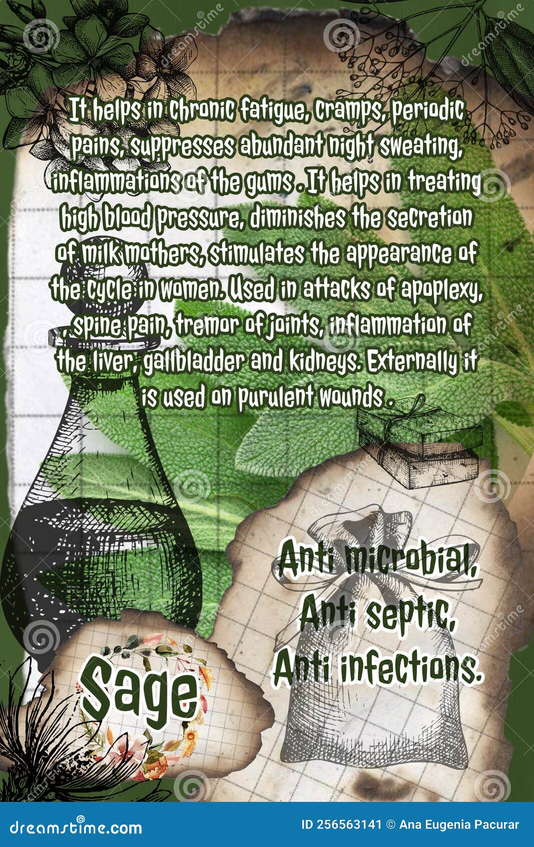 Sage Vintage Herbal Notebook Page Stock Illustration - Illustration of ...