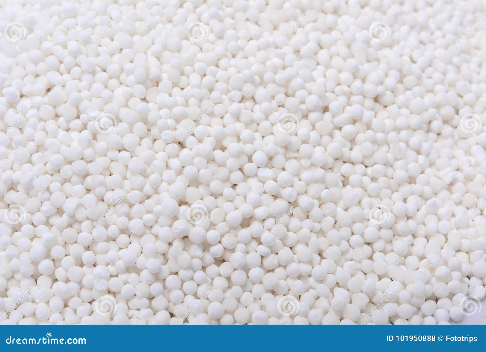 211 Tapioca Seeds Photos - Free & Royalty-Free Stock Photos from Dreamstime