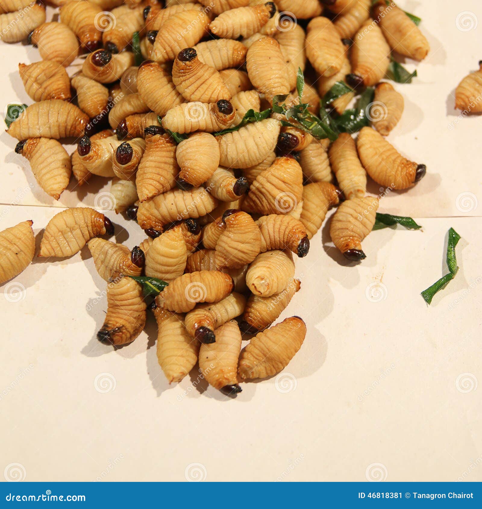 297 Sago Grub Images, Stock Photos Vectors Shutterstock, 45% OFF