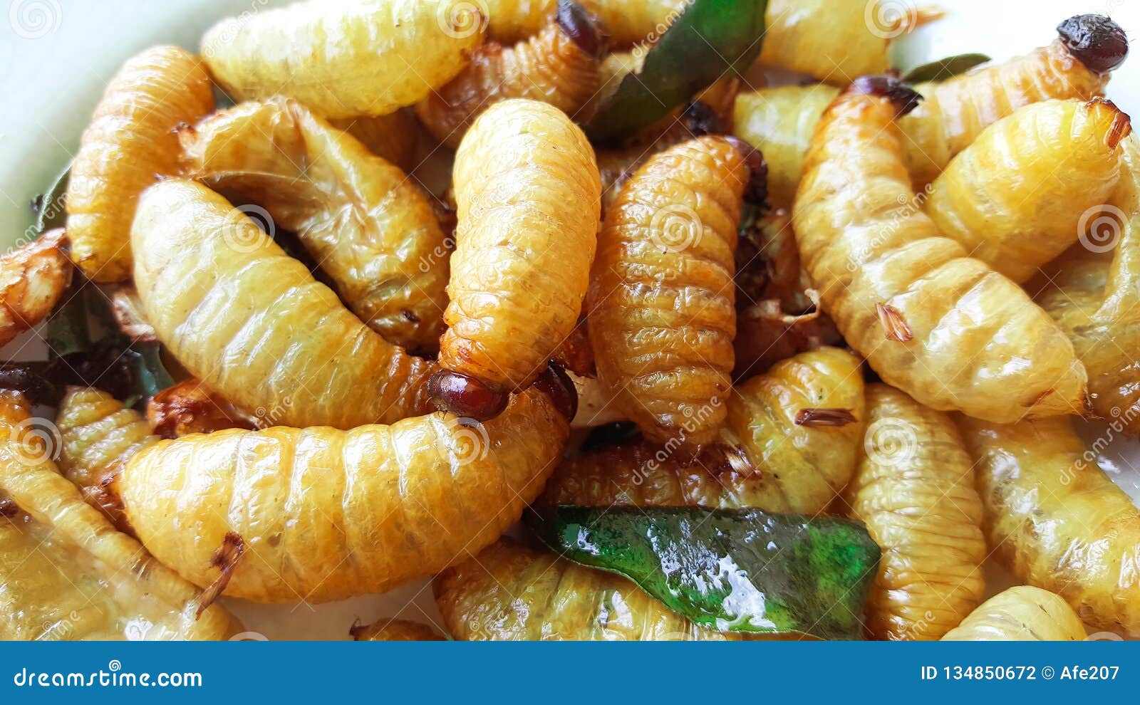 Sago Worm, Larvae From The Red Palm Weevil Stock Photo | CartoonDealer ...