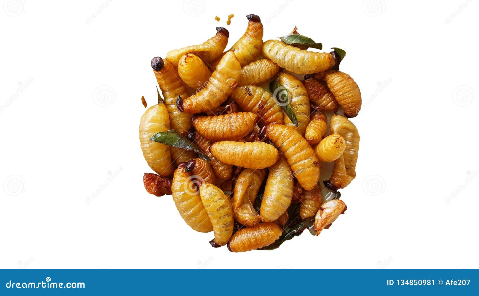Sago Worm, Larvae From The Red Palm Weevil Isolated On White Background ...