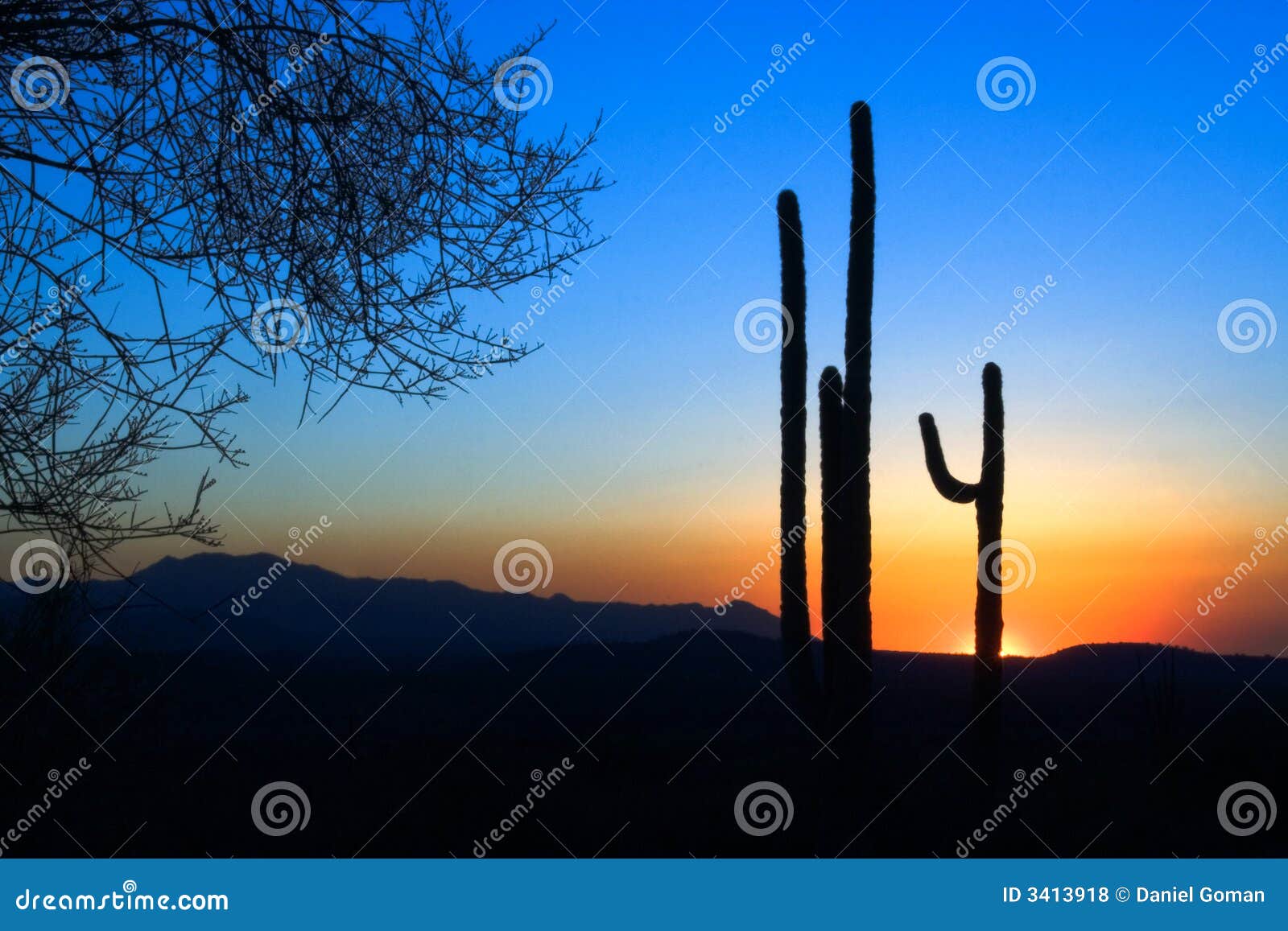 Saguaro cactus sunset stock photo. Image of clouds, saguaro - 3413918
