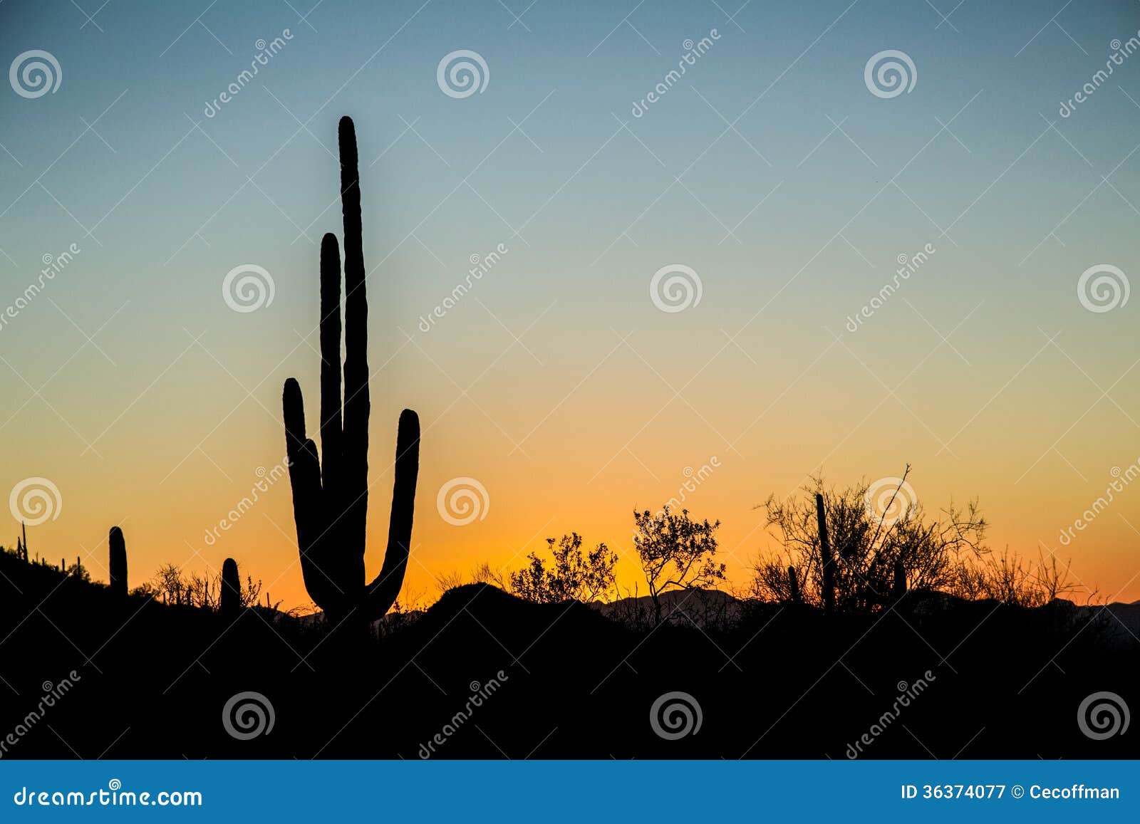 Saguaro Sunset stock image. Image of tourism, orange - 36374077