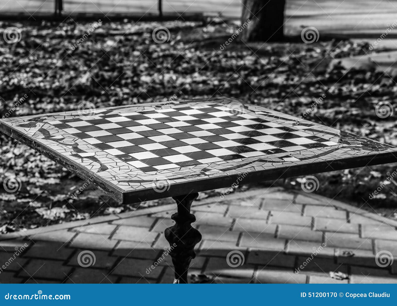 Sah Table stock photo. Image of fagaras, landscape, girl - 51200170
