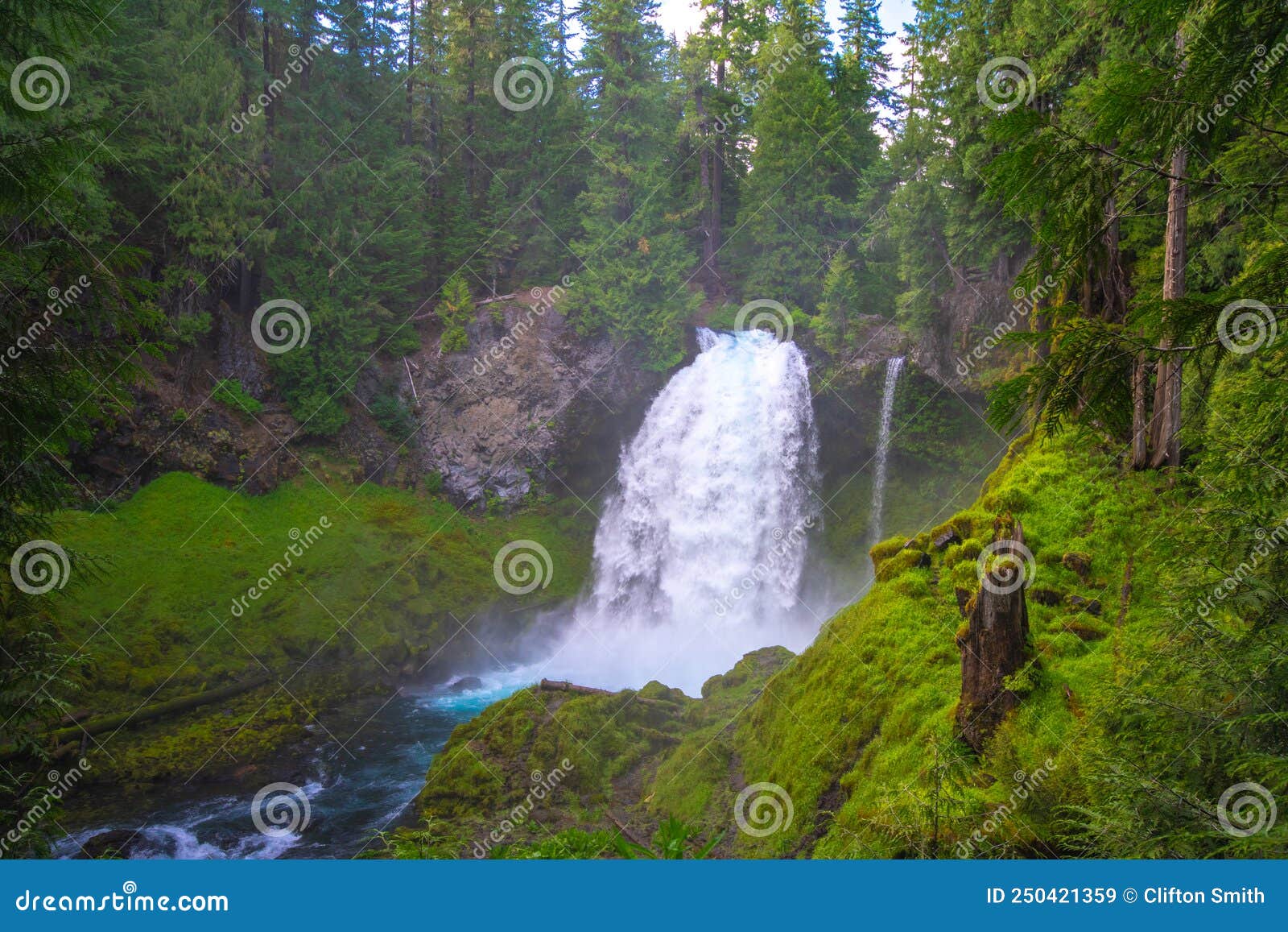 Sahalie Falls Oregon Flowing through a Forest Stock Image - Image of ...