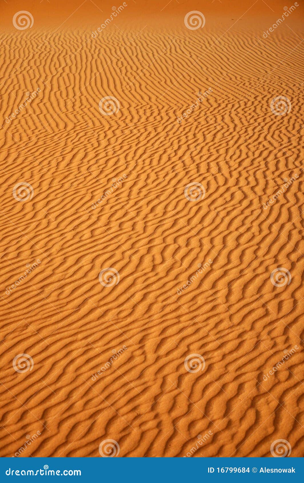 Sahara stock photo. Image of sand, serene, material, shore - 16799684