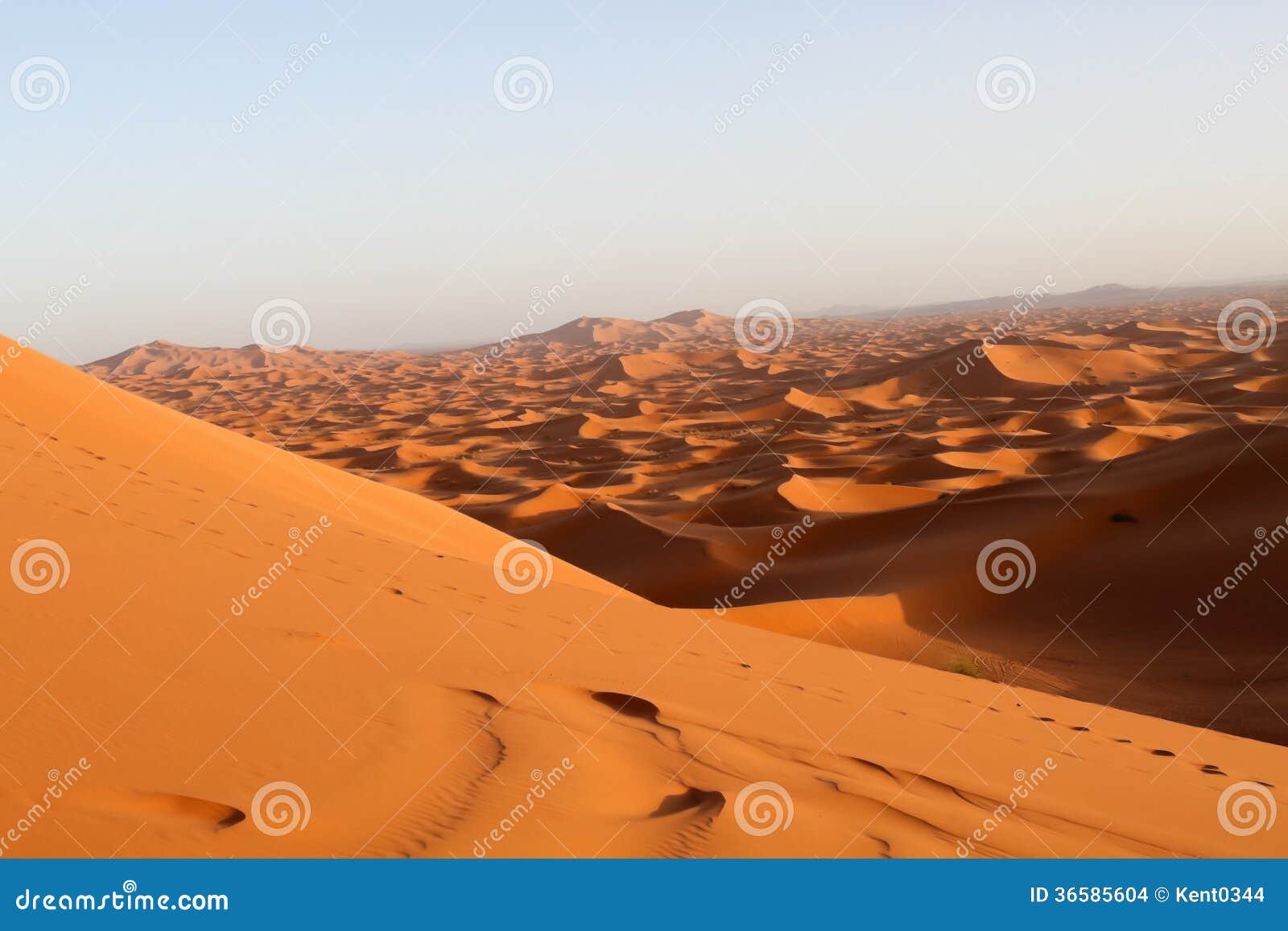 Sahara Desert stock photo. Image of shade, travel, desert - 36585604