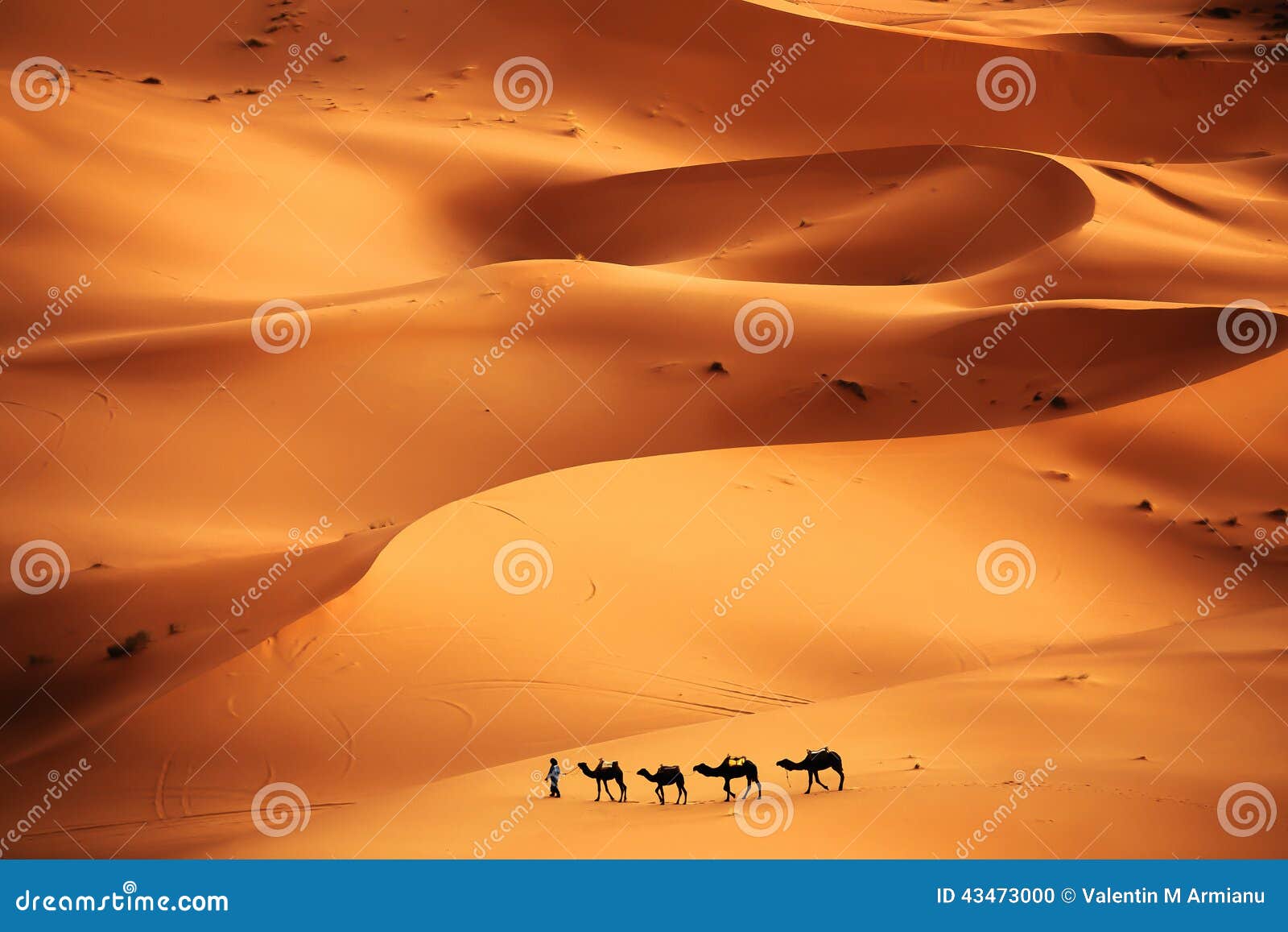 Sahara Desert Texture, Orange Sand Patterns Stock Photography ...