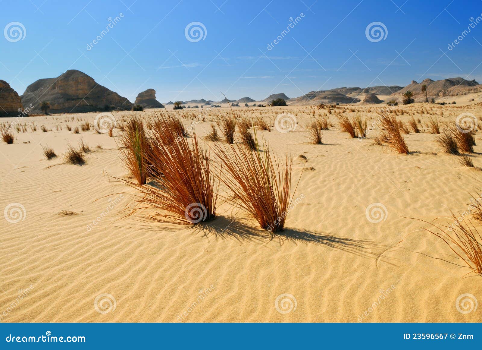 Sahara Desert, Egypt stock image. Image of horizon, brown - 23596567