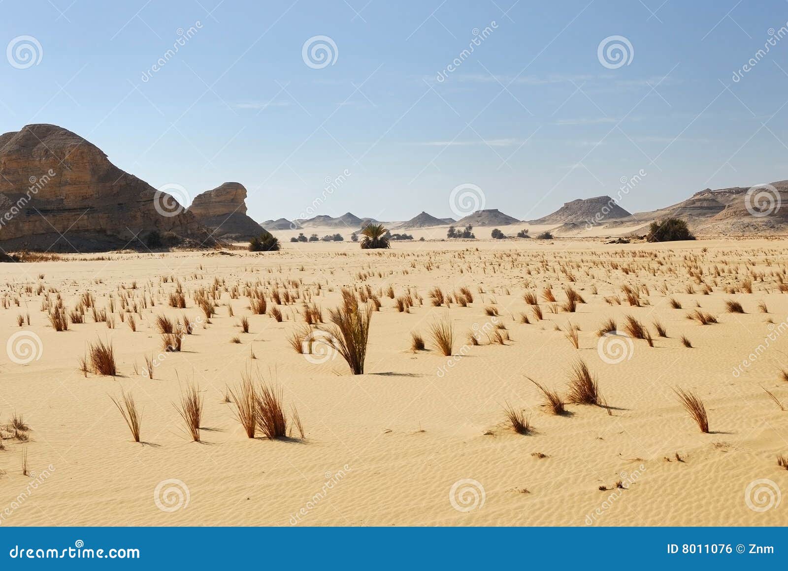 Sahara Desert, Egypt stock photo. Image of brown, desert - 8011076
