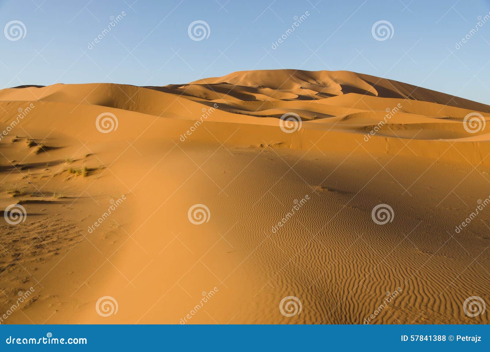Sahara desert stock photo. Image of nature, sand, blue - 57841388