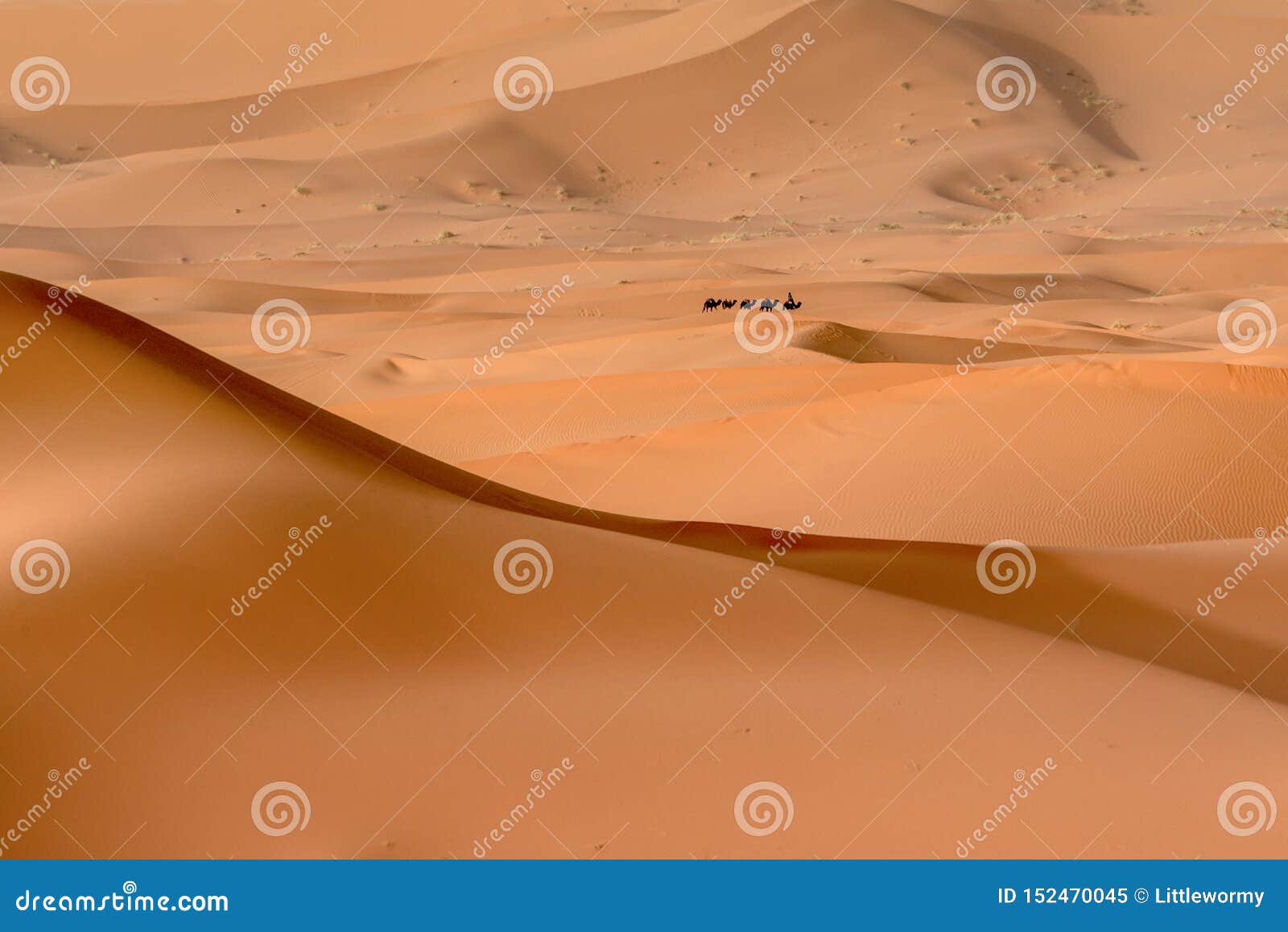 Sahara Desert in Merzouga, Morocco Stock Image - Image of texture, sand ...