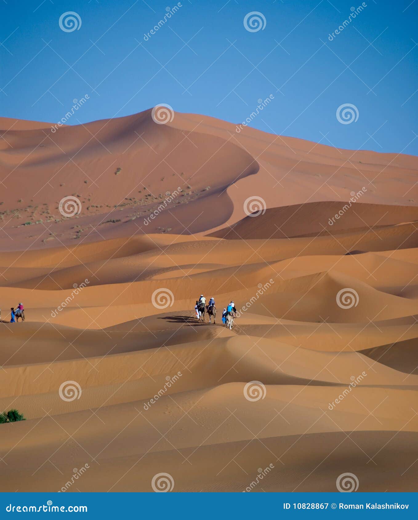 Sahara desert in Morocco stock image. Image of arabic - 10828867