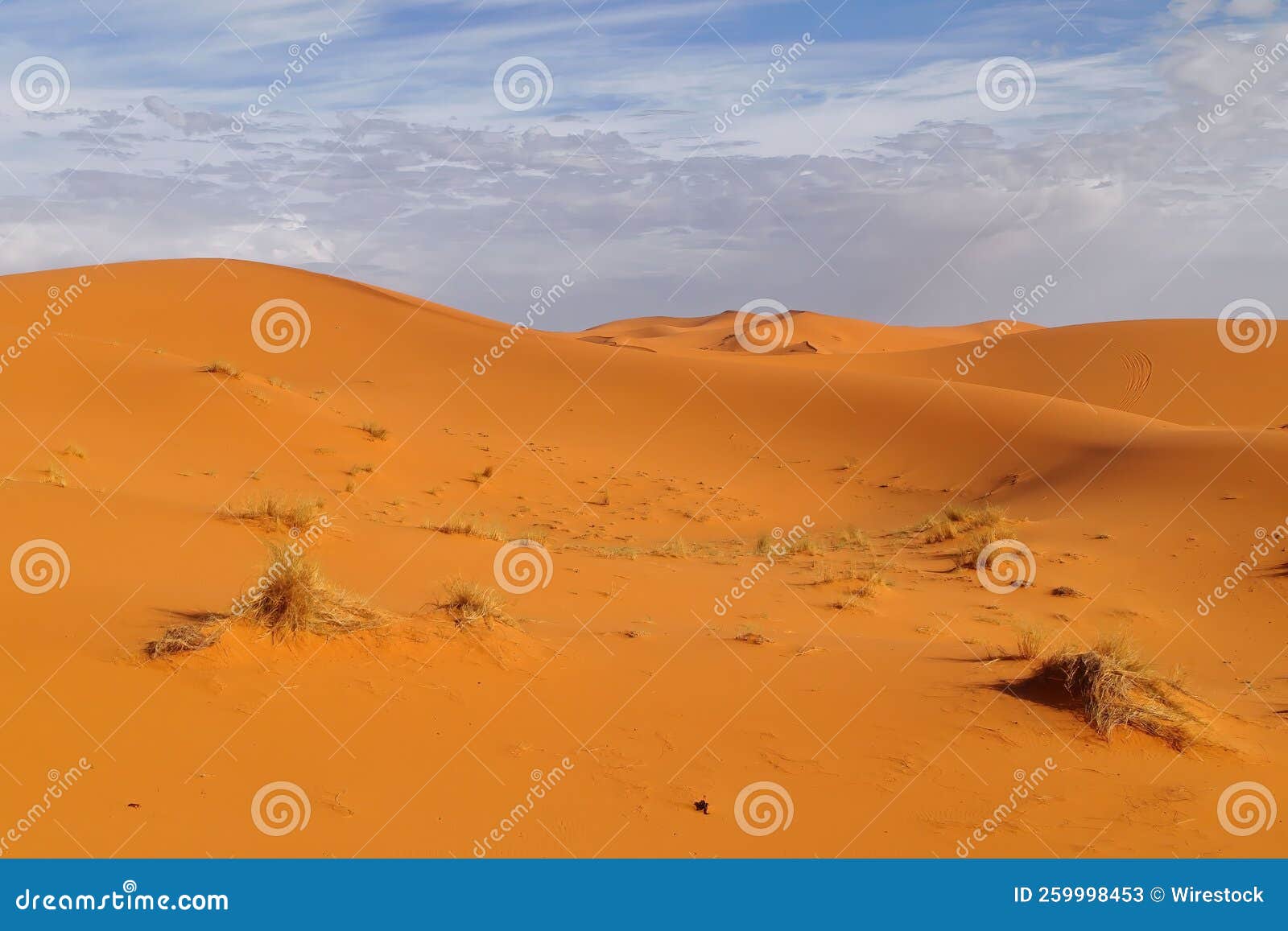 Sahara Desert in Morocco Under a Cloudy Sky Stock Image - Image of ...