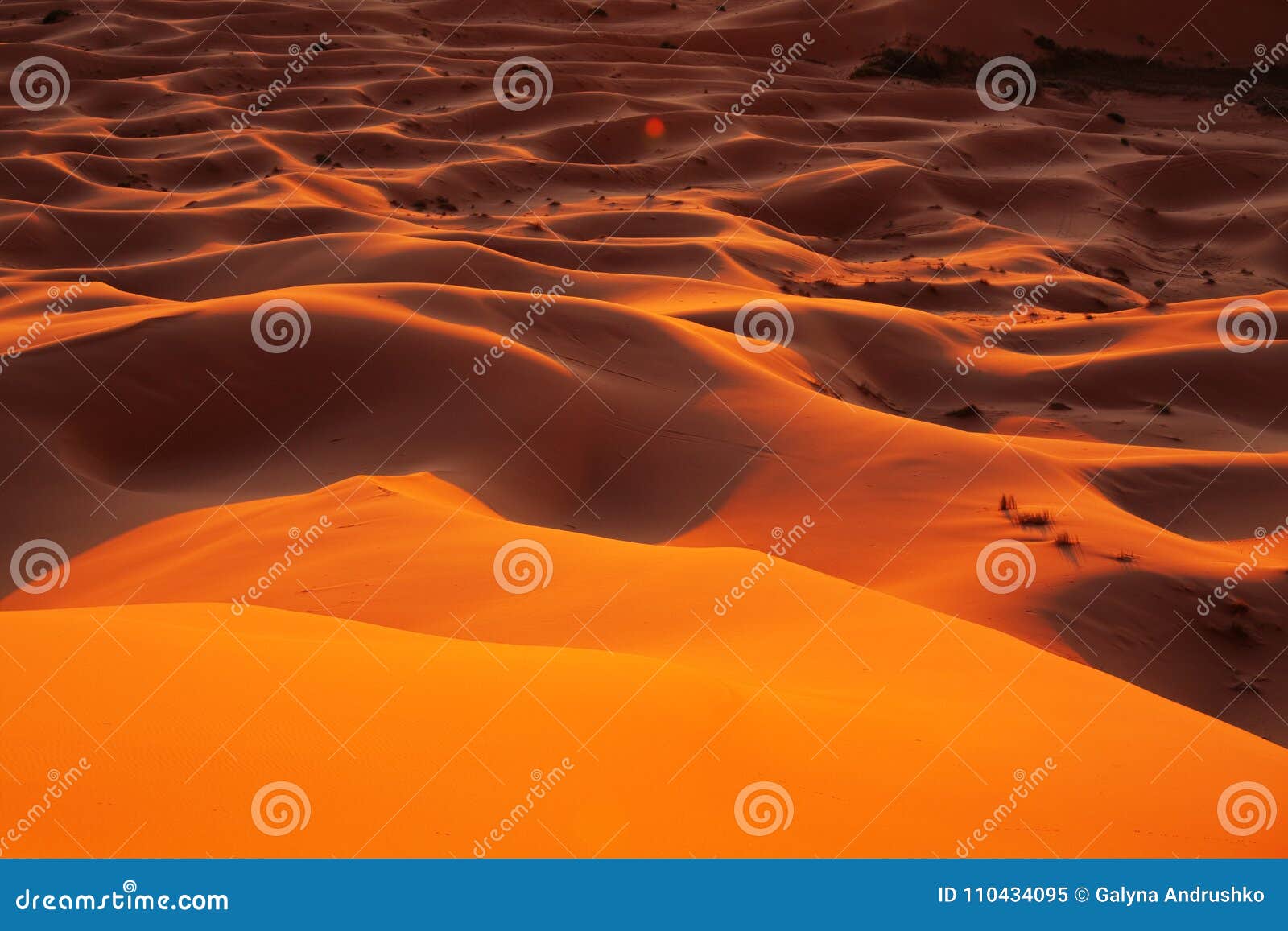 Sahara desert stock image. Image of dune, desert, landscape - 110434095