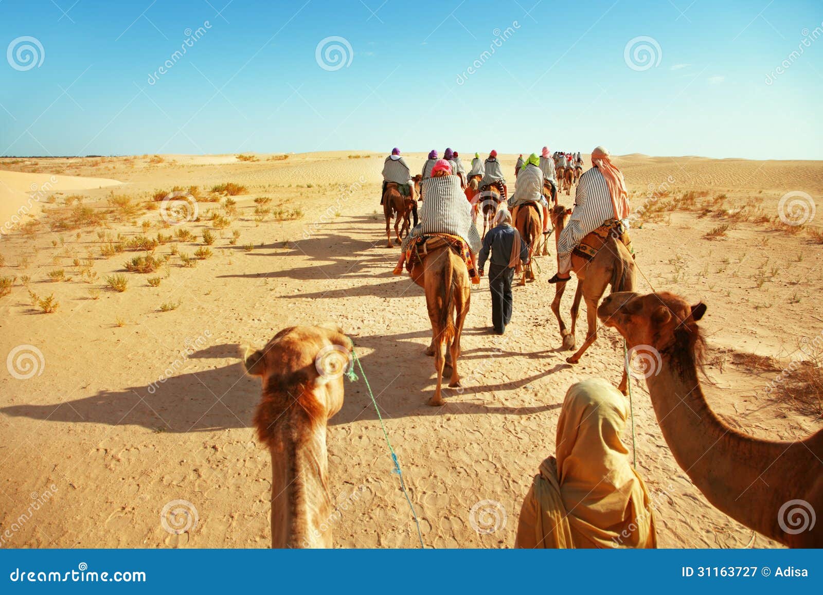 Sahara desert editorial photography. Image of arabic - 31163727