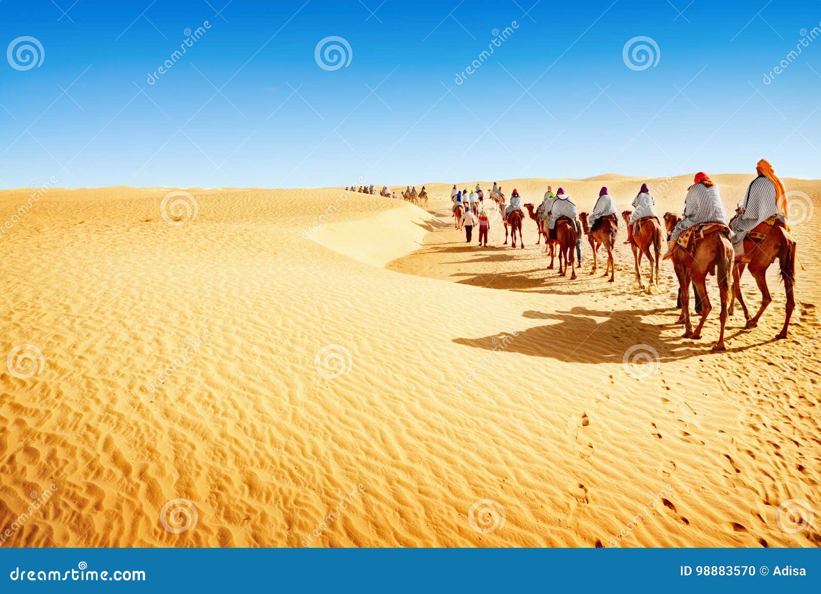 Sahara desert stock photo. Image of nature, camelcade - 98883570