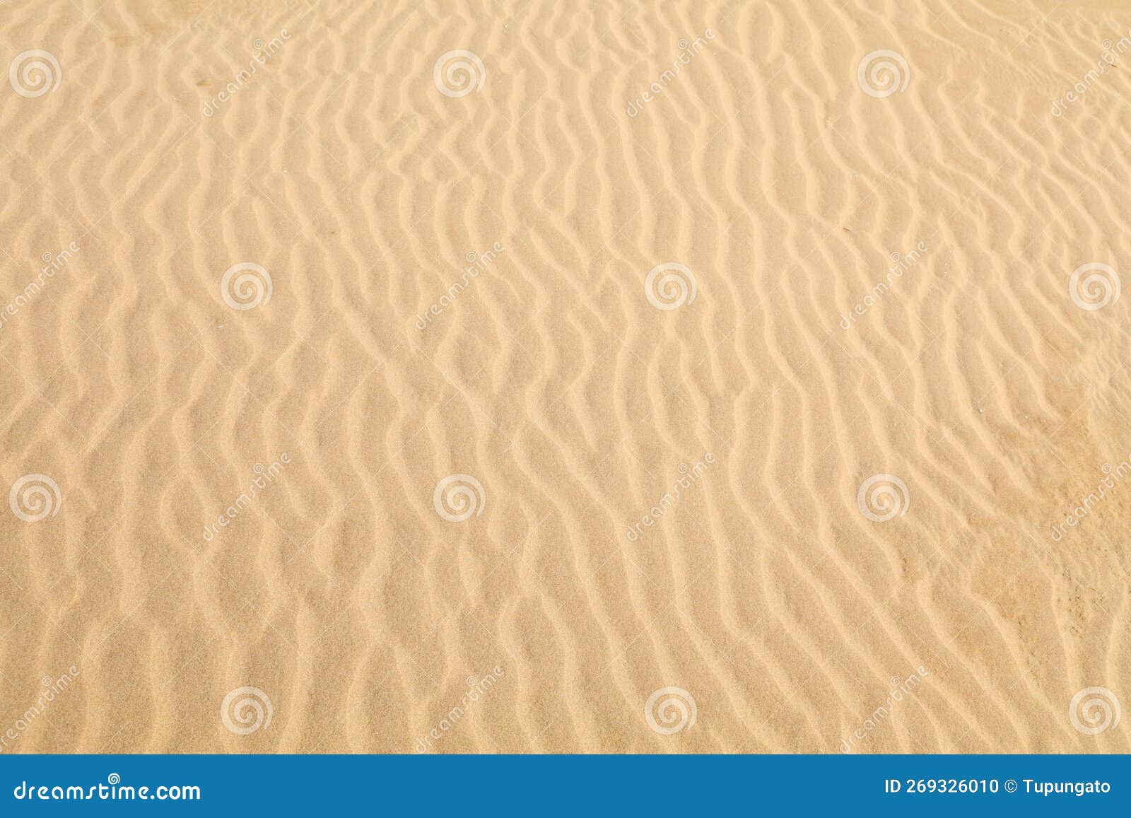 Sahara Desert Sand Background Stock Photo - Image of background ...