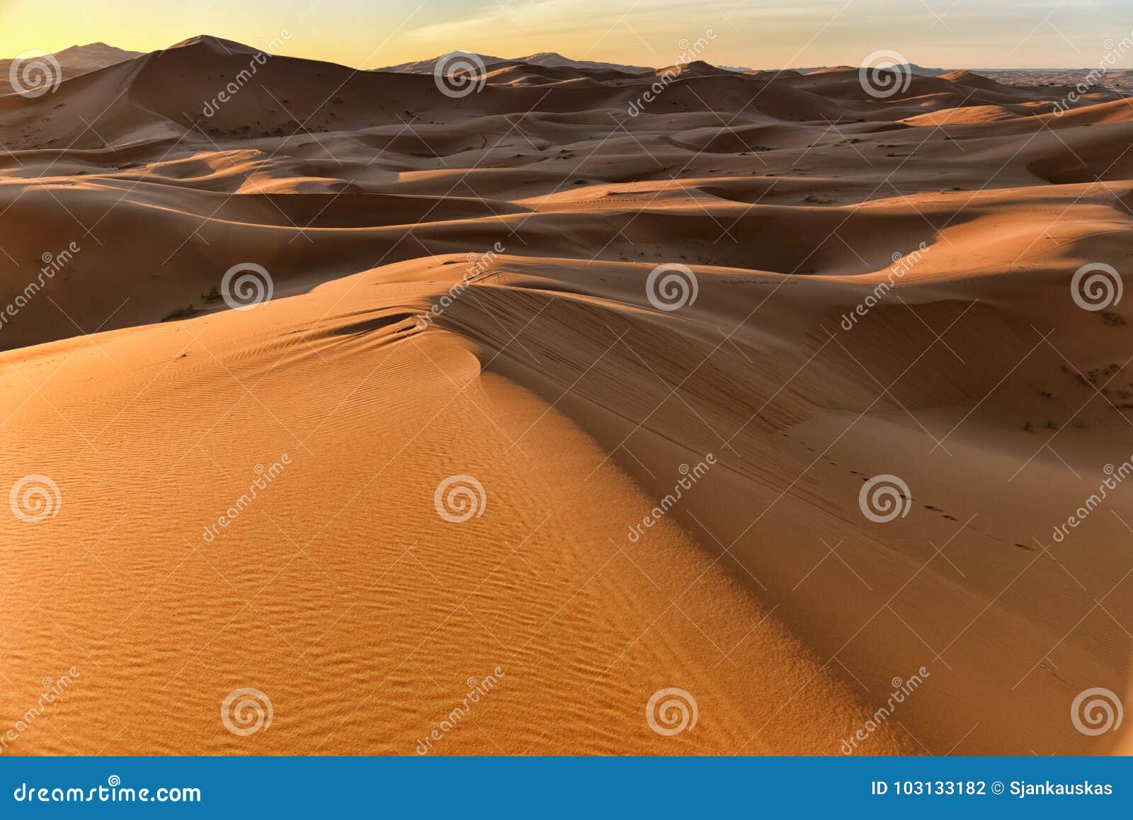 Sahara Desert. Egypt Stock Image | CartoonDealer.com #49838665