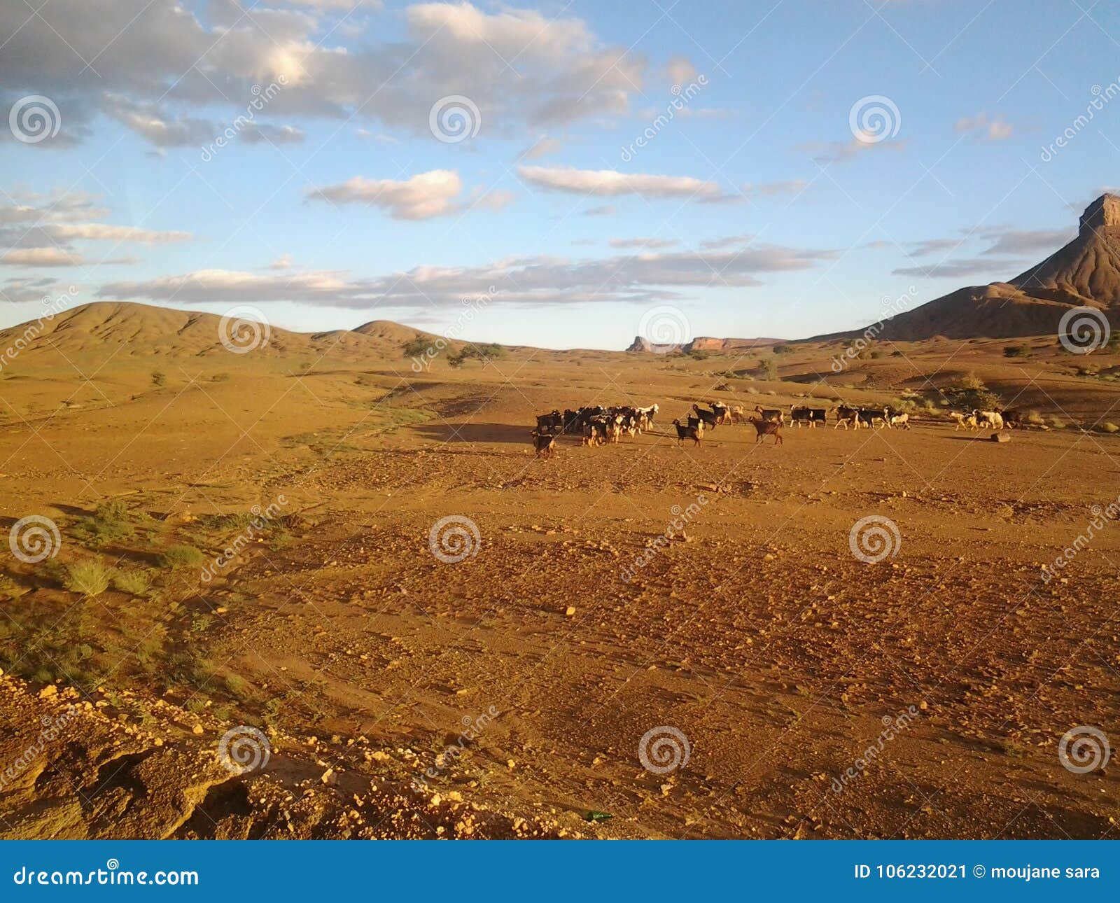 The sahara stock image. Image of sahara, desert, planet - 106232021