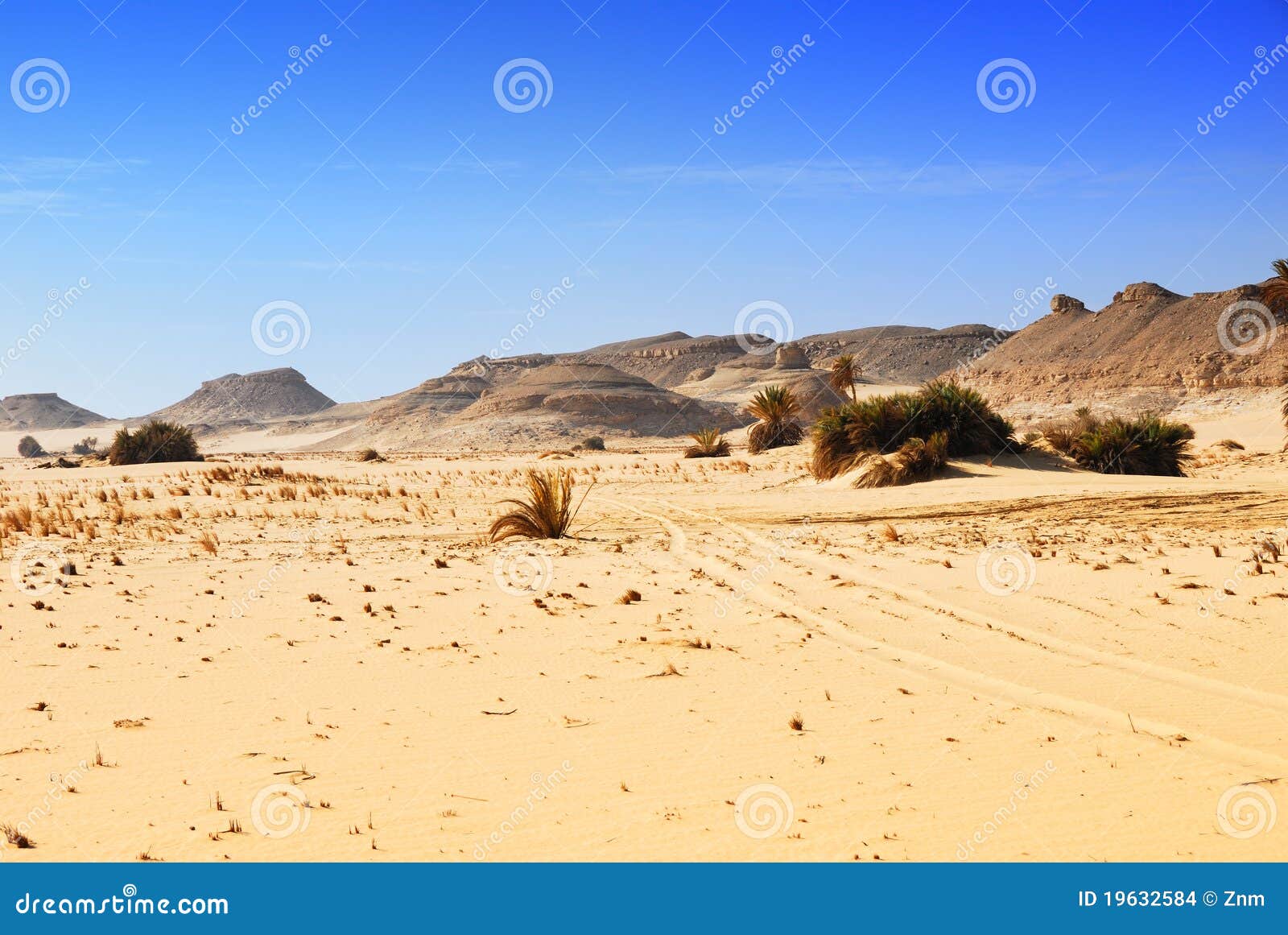 Sahara Desert, Western Desert, Egypt Stock Photo - Image of heat ...