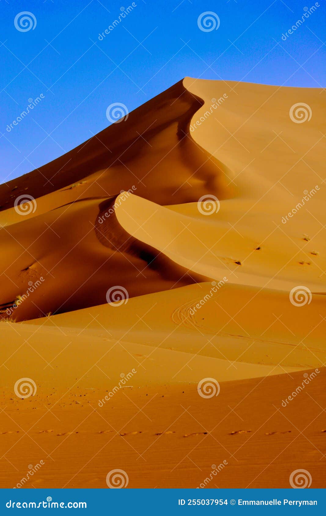 A Colorful Sand Dune of the Saharan Desert in Morocco, Africa. Stock ...