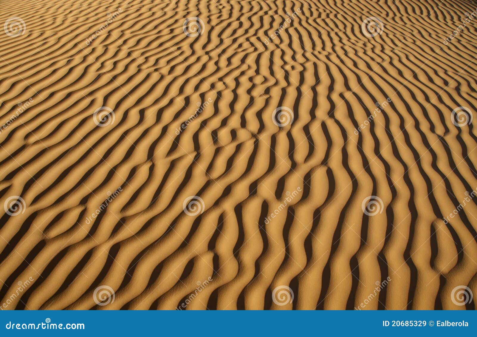 Sahara sand pattern stock image. Image of brown, golden - 20685329