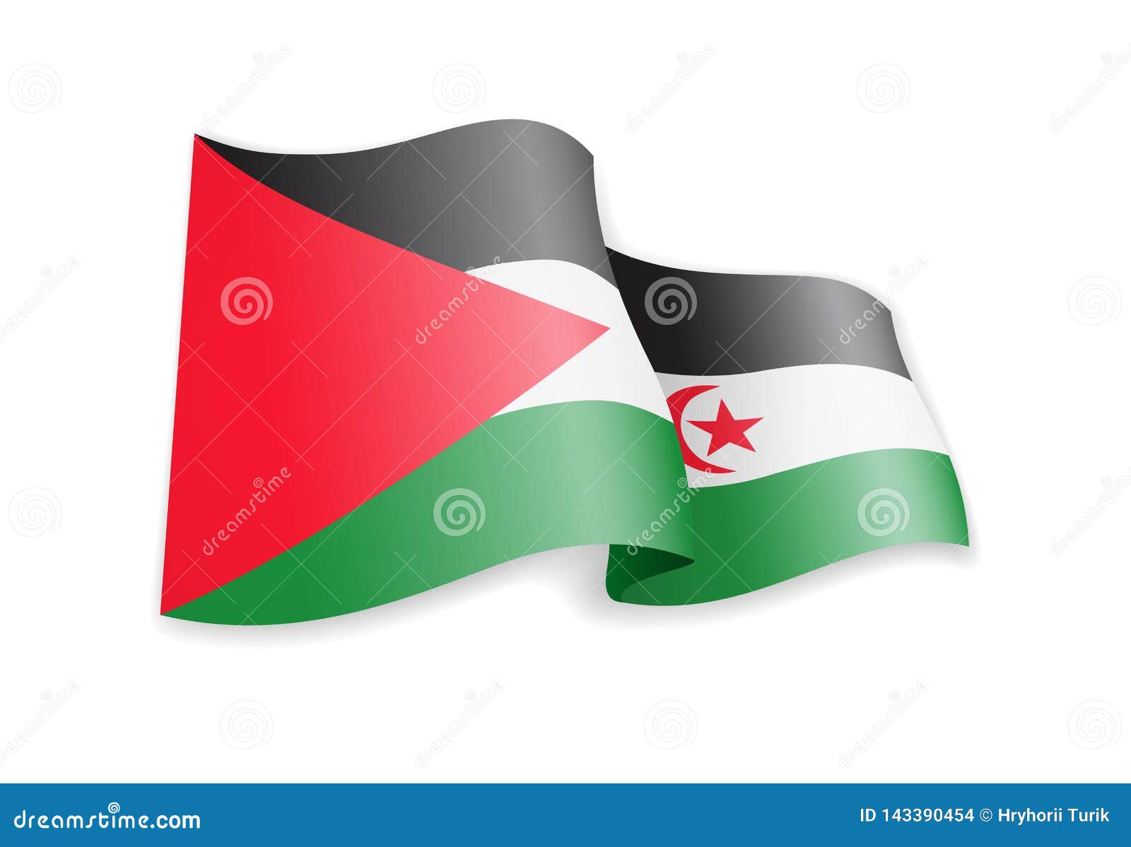 Saharan Arab Democratic Republic Flag And Outline Of The Country On A ...