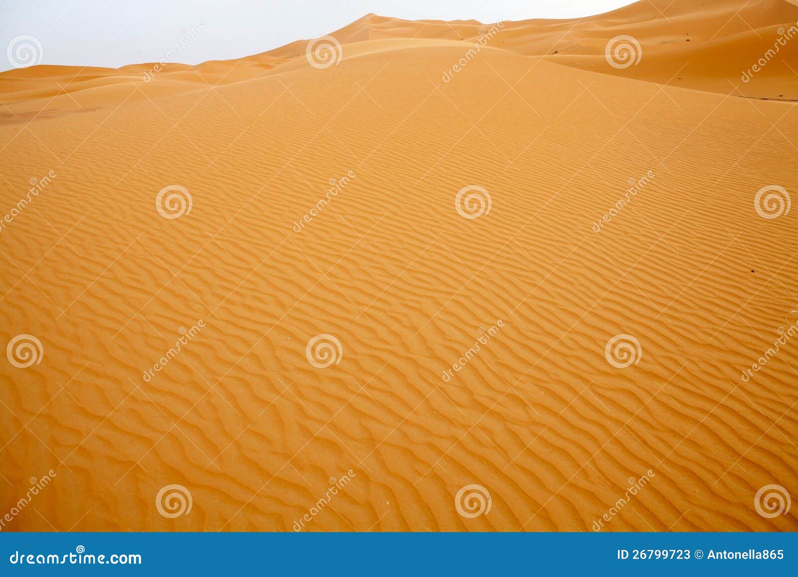Saharan dunes stock image. Image of season, sand, berber - 26799723