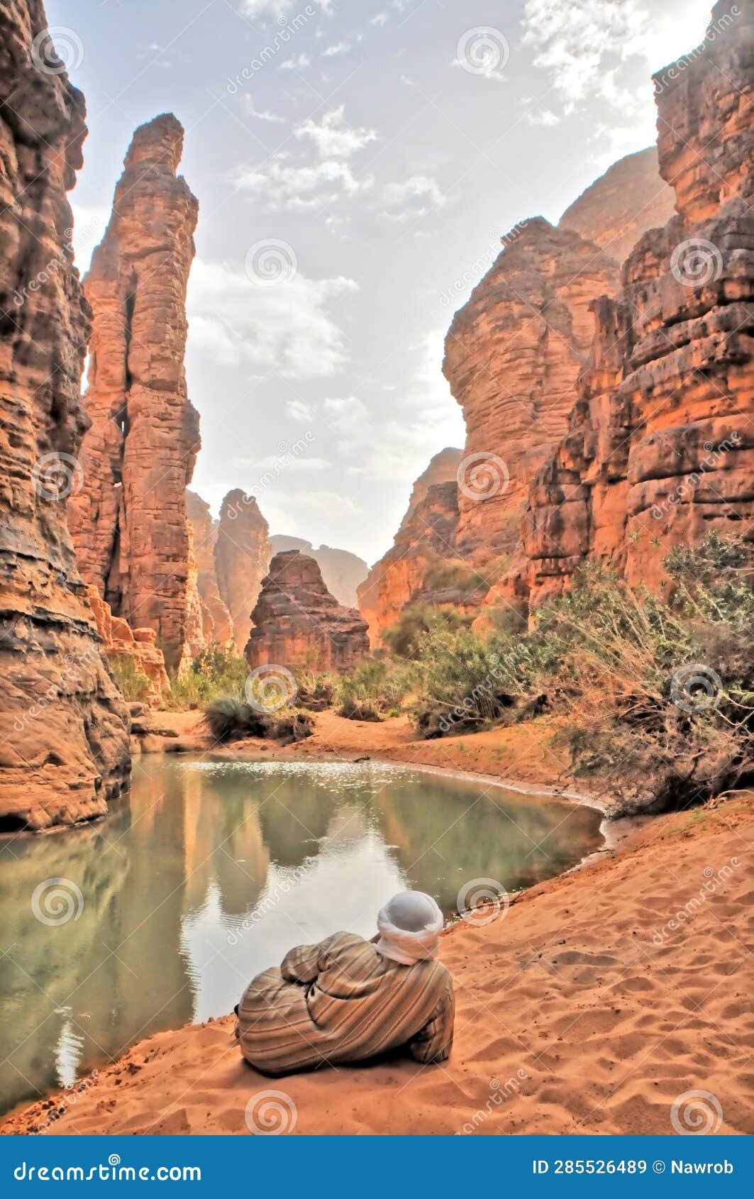 A Saharan oasis in Algeria stock image. Image of travel - 285526489