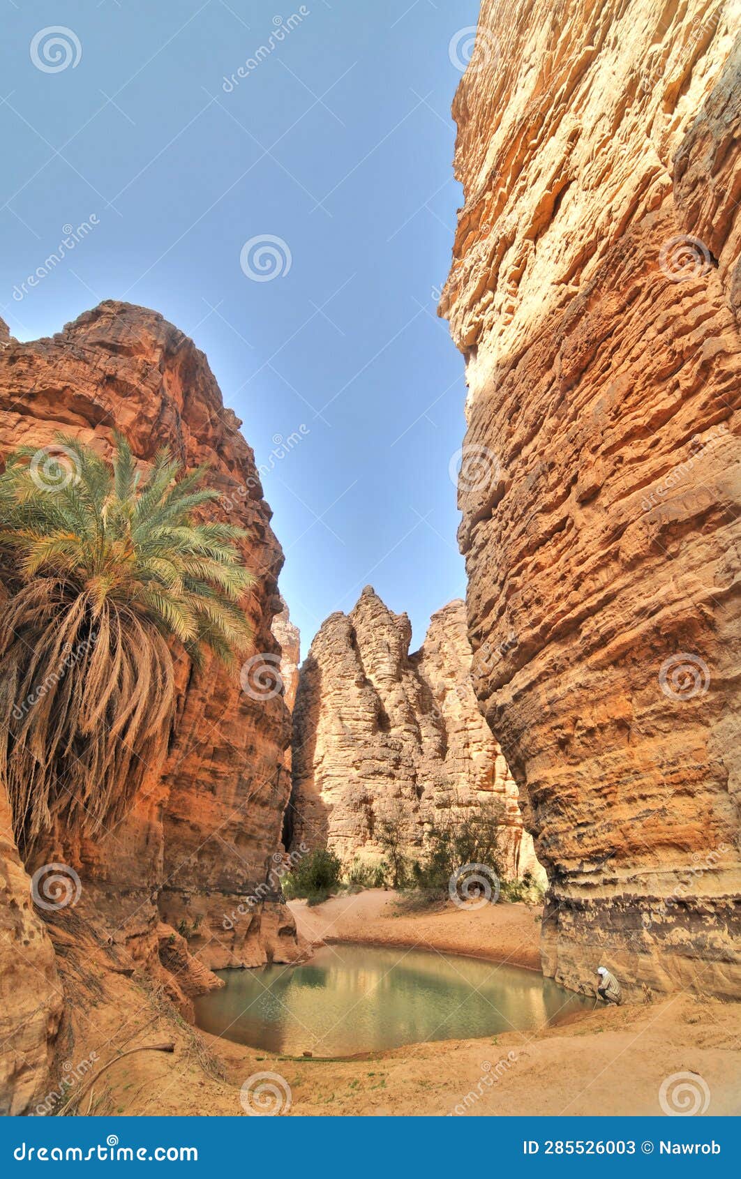 A Saharan oasis in Algeria stock image. Image of sandstone - 285526003