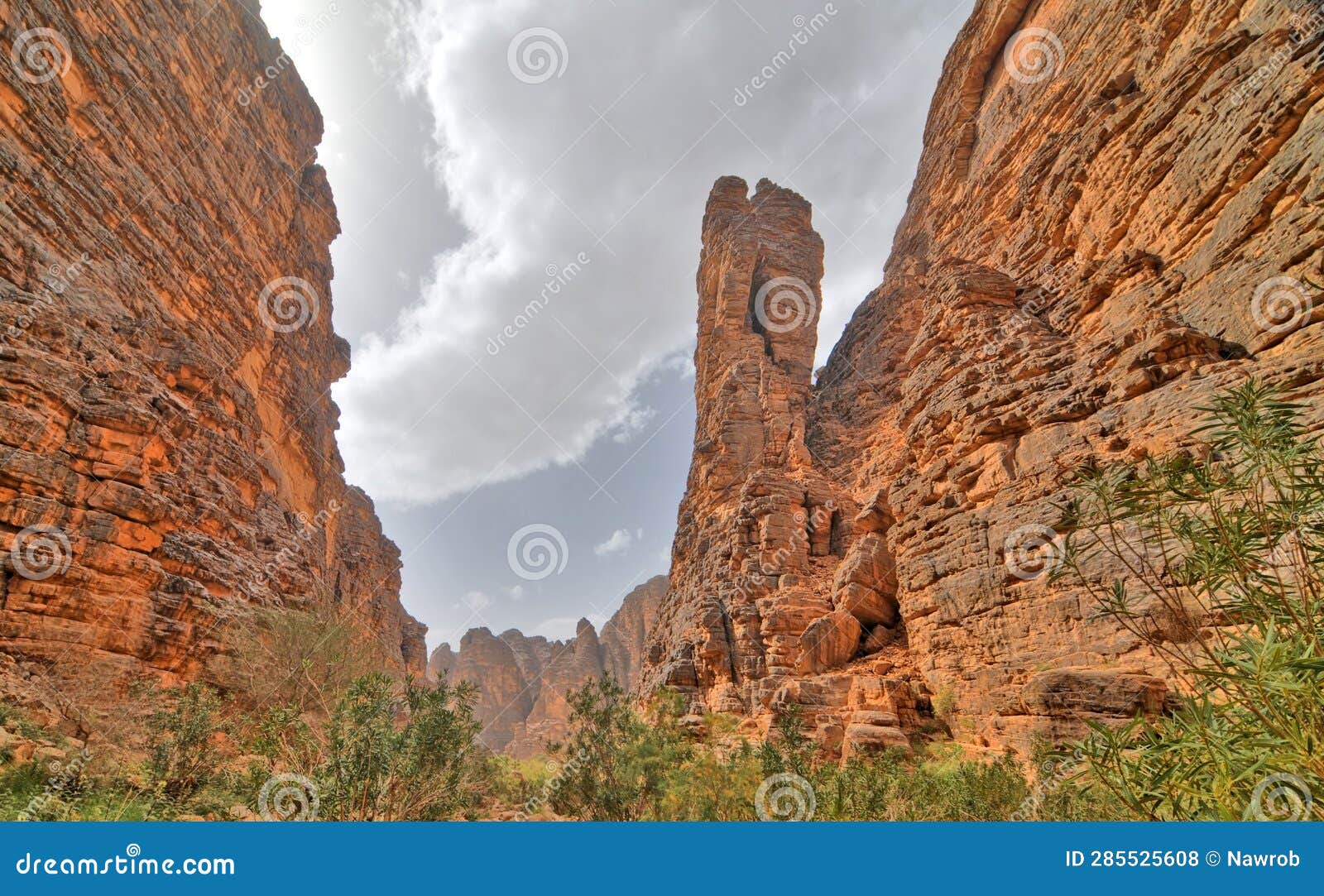 A Saharan oasis in Algeria stock photo. Image of tourism - 285525608