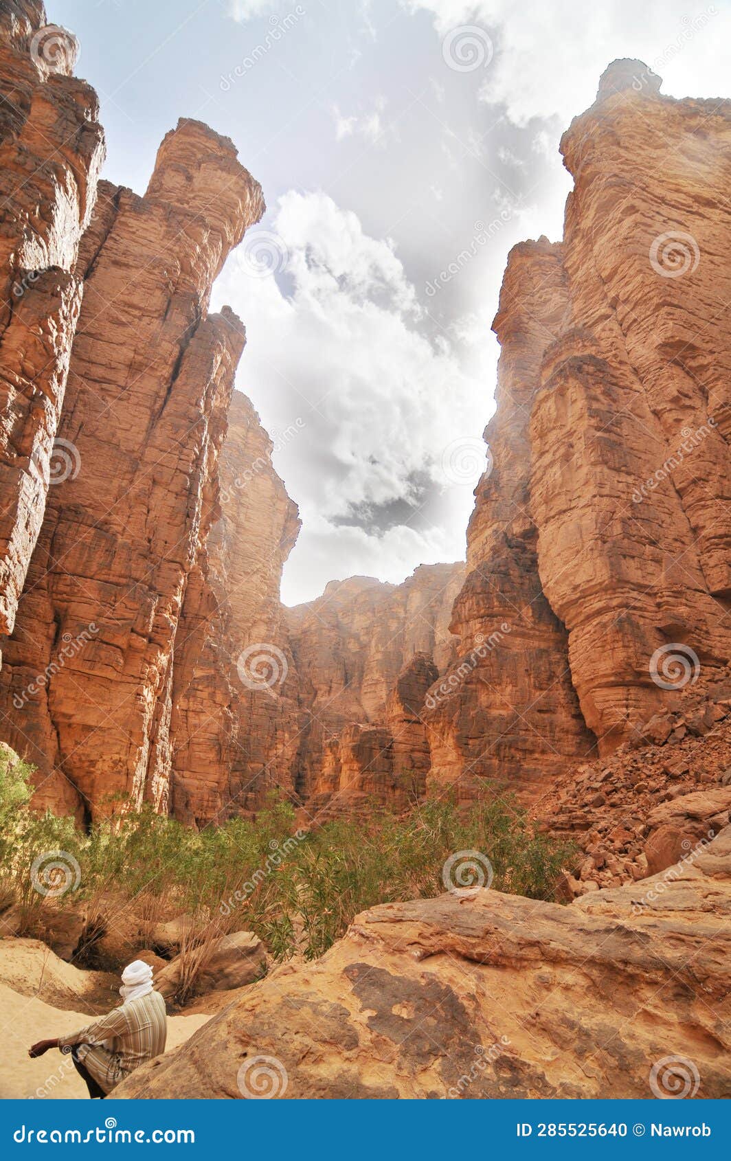 A Saharan oasis in Algeria stock photo. Image of gorge - 285525640