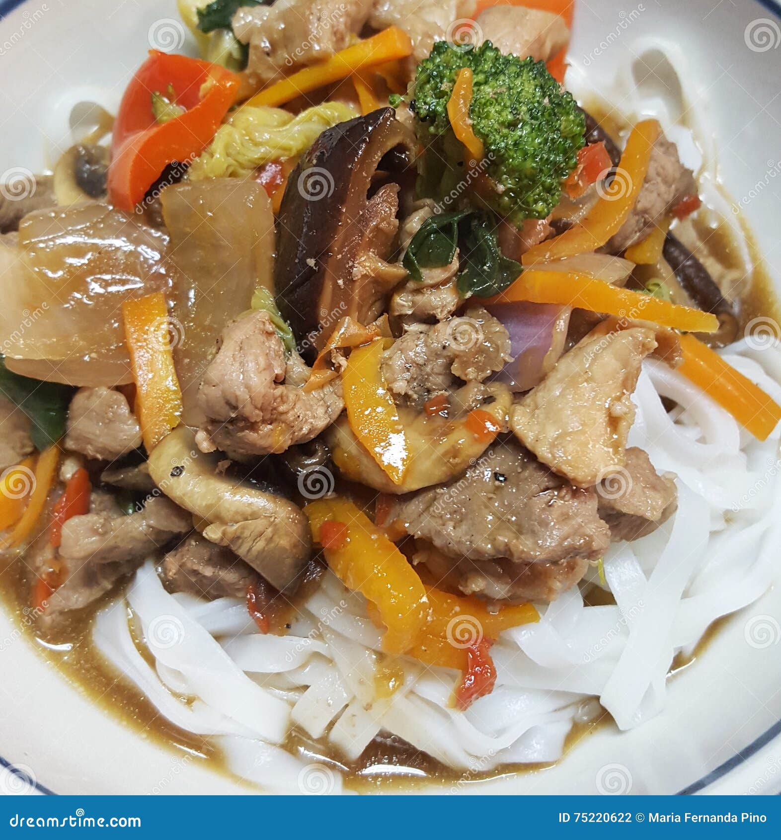 Sahofan stock photo. Image of sahofan, vegetables, meat - 75220622