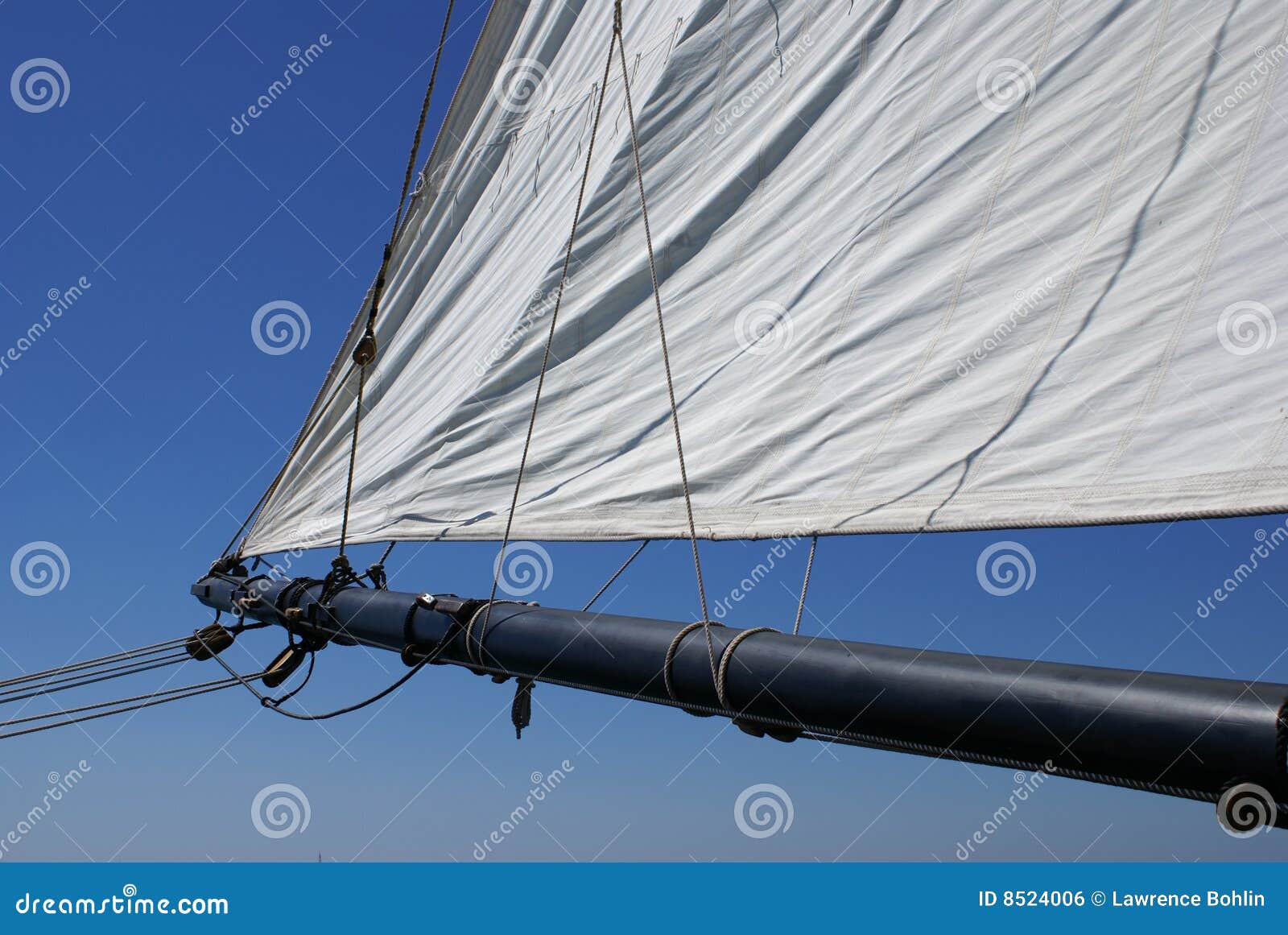 Sail Picture. Image: 8524006