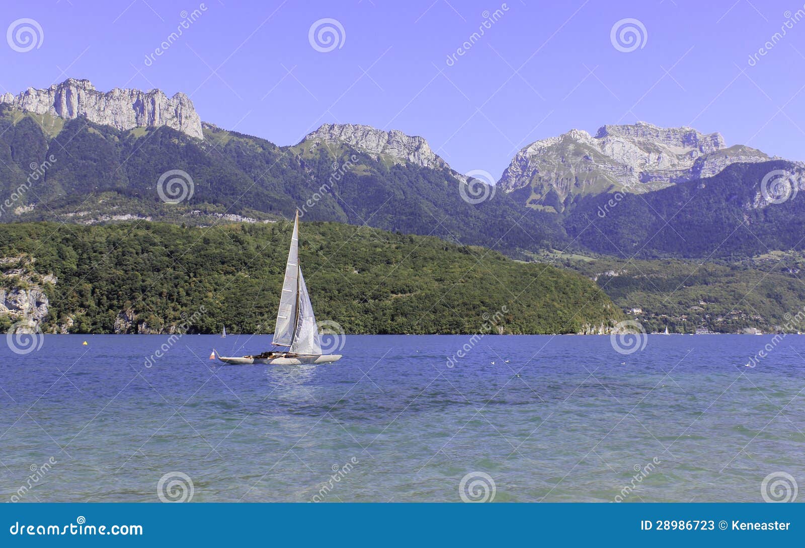 Sail Away stock image. Image of freedom, swimming, bathing - 28986723