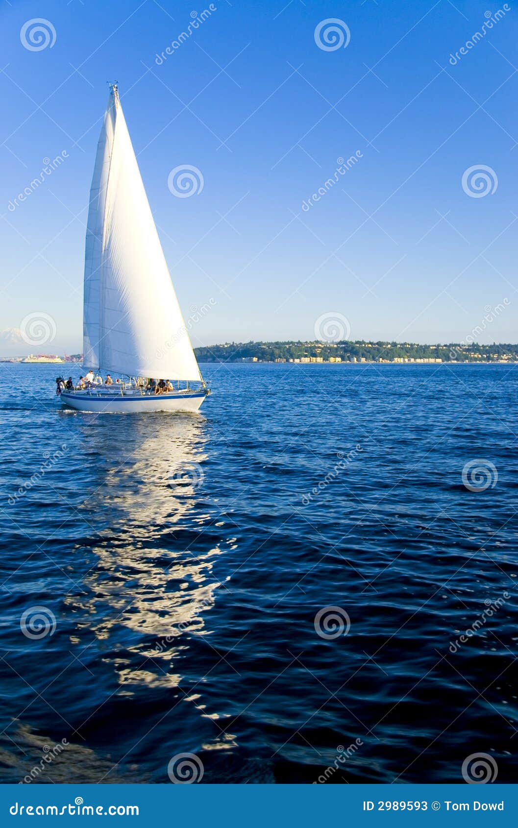 Sail Away stock image. Image of ship, sail, sailing, wind - 2989593