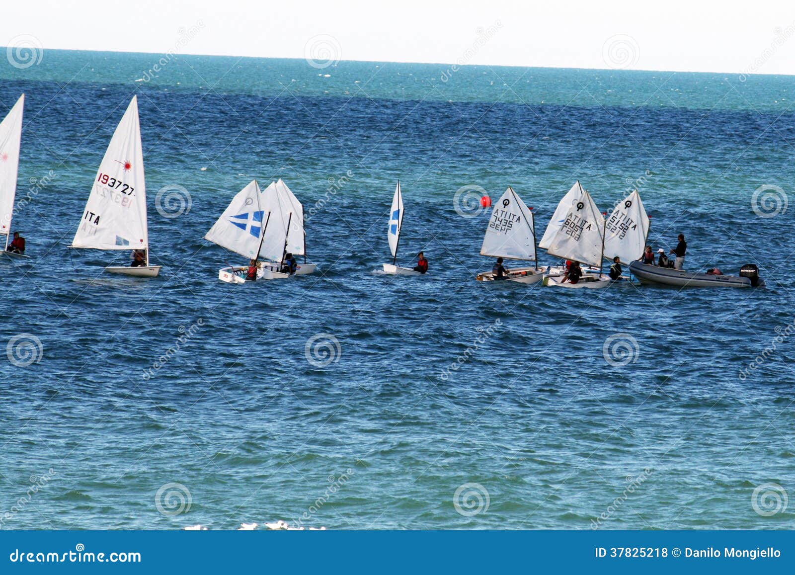 Sail race editorial stock photo. Image of bari, lasers - 37825218