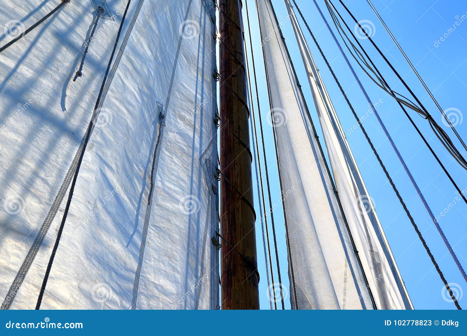 Sail and Rigging stock image. Image of sailboat, forces - 102778823