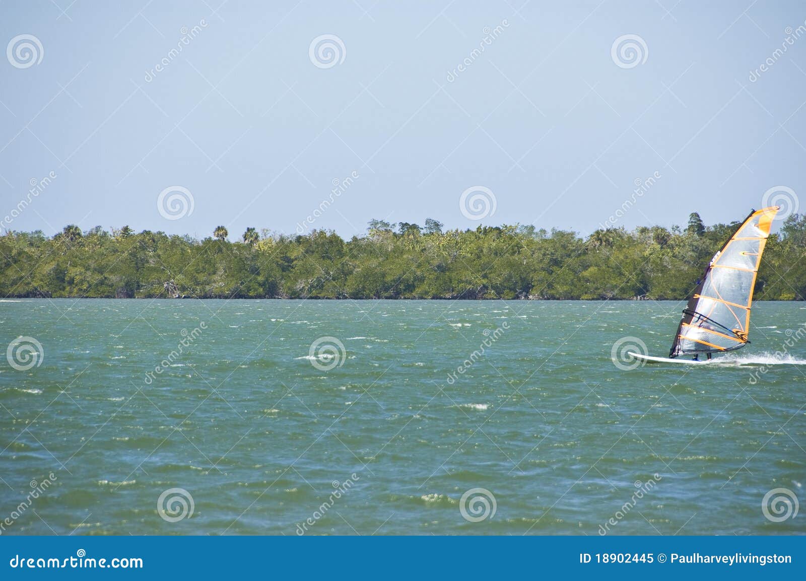 Sail Surfing stock image. Image of horizontal, vacation - 18902445