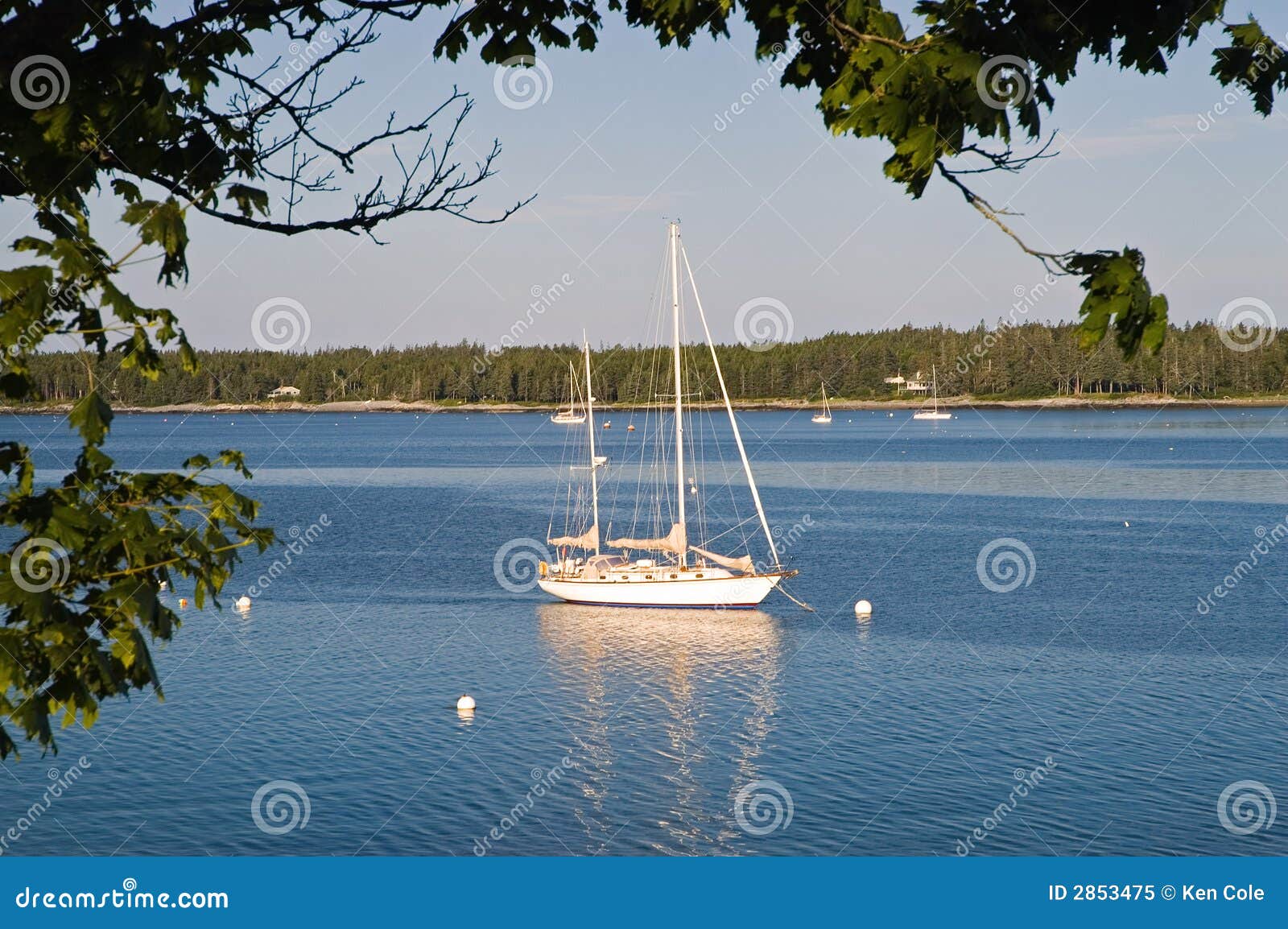 Sailboat Anchored in Harbor Stock Image - Image of summer, coastal: 2853475